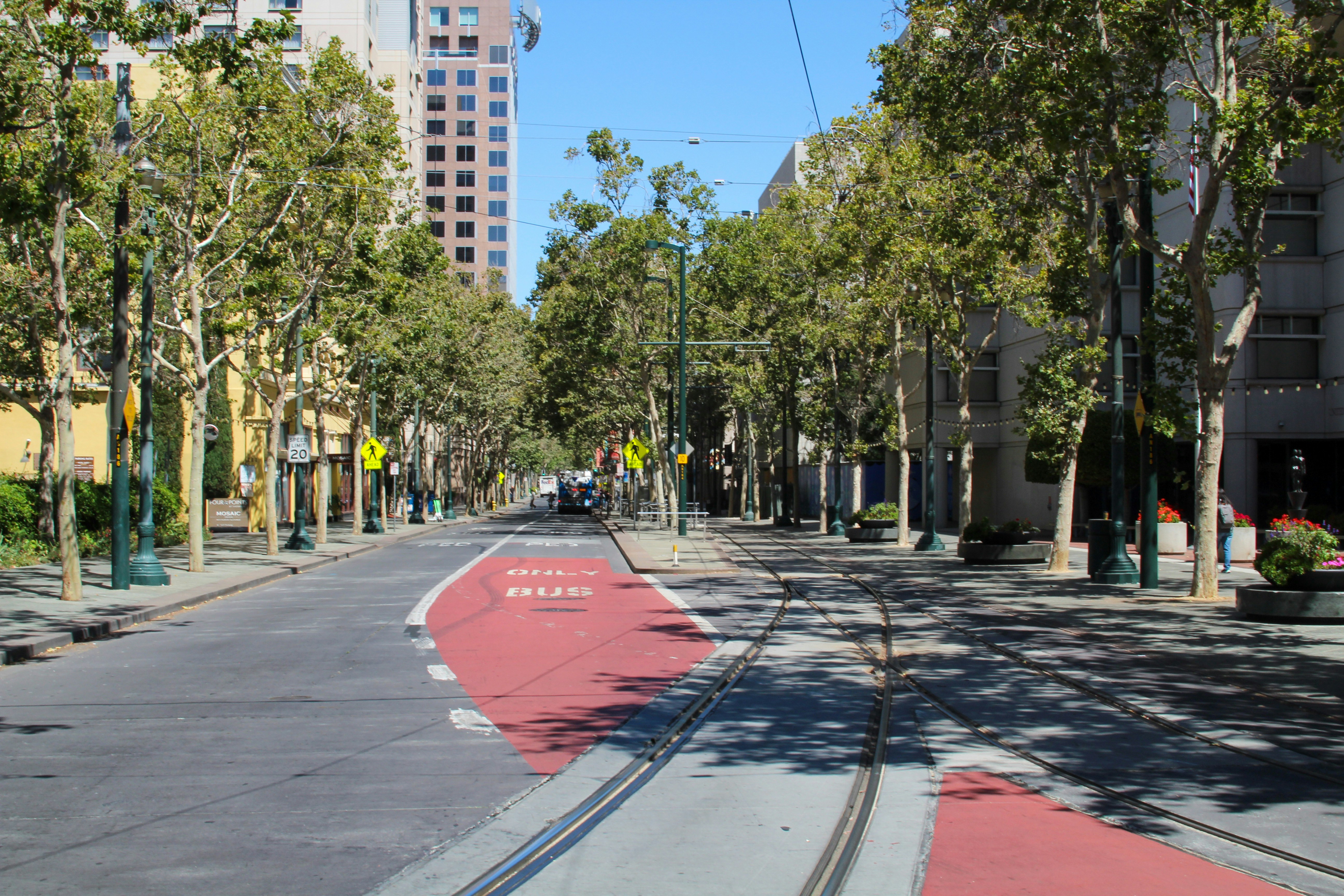 Tree-lined street flanked by urban buildings under a clear blue sky.