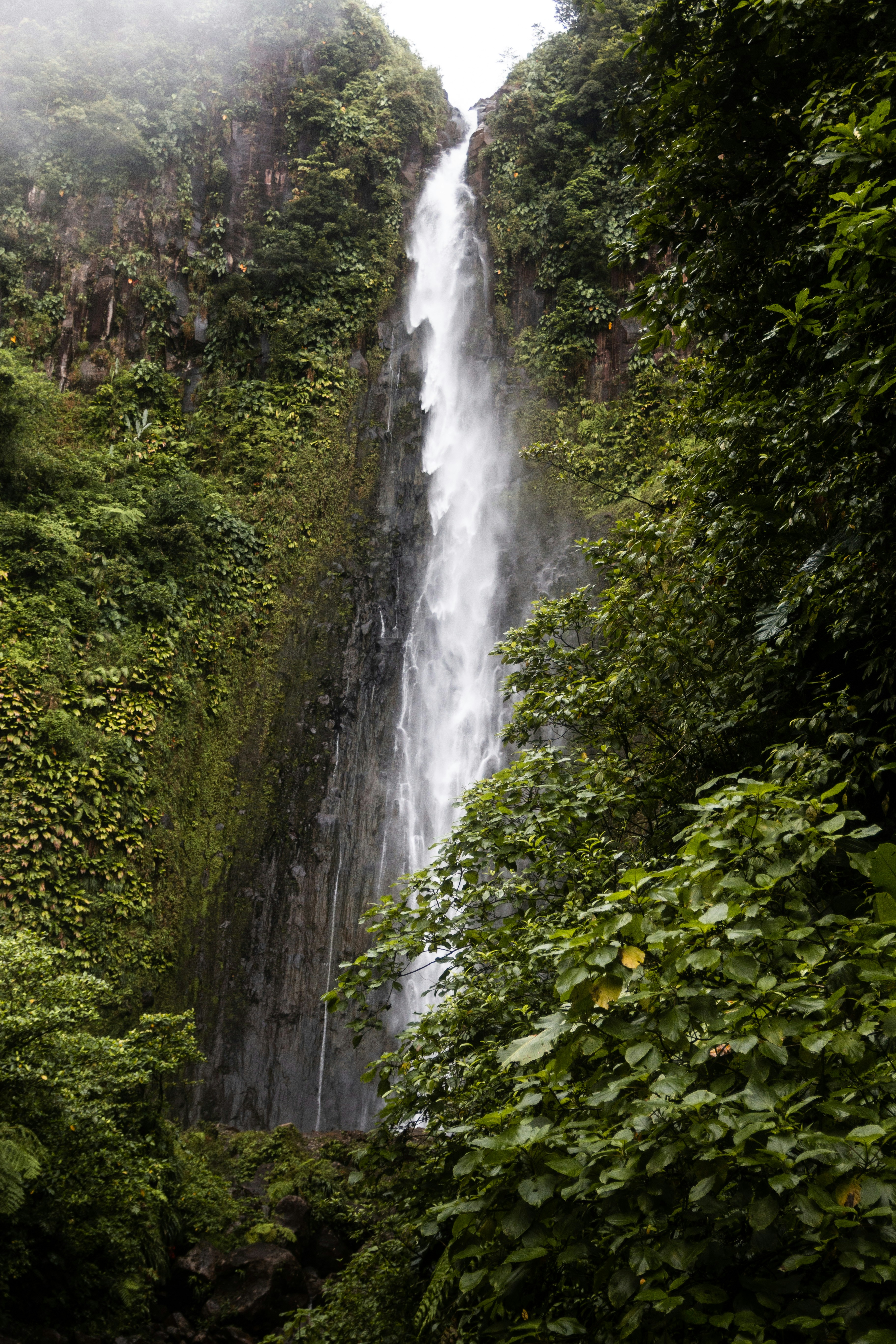 A waterfall in a forest photo – Free La deuxième chute du carbet Image ...