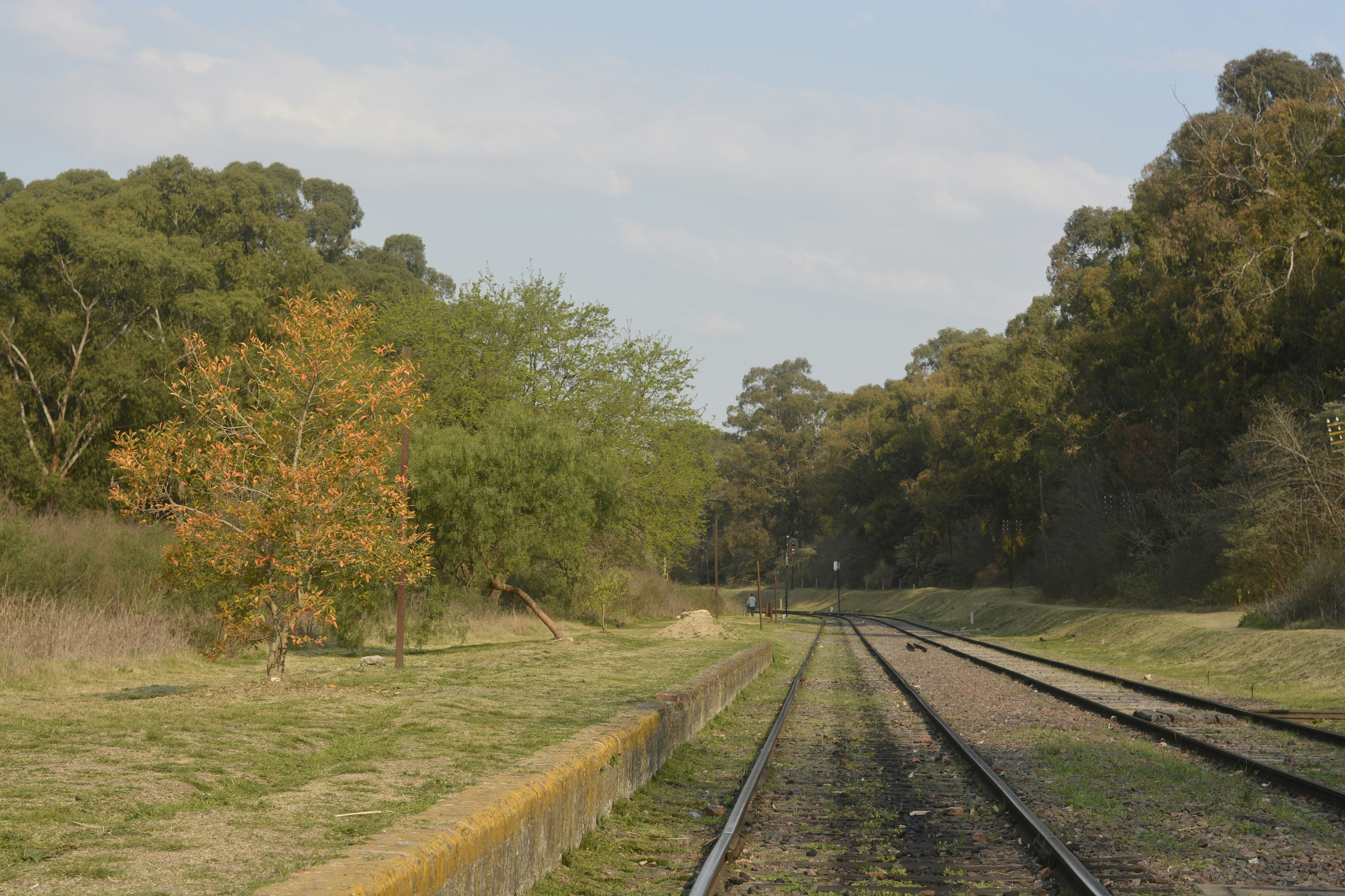 Photo by Paula Danese with Nikon D7100