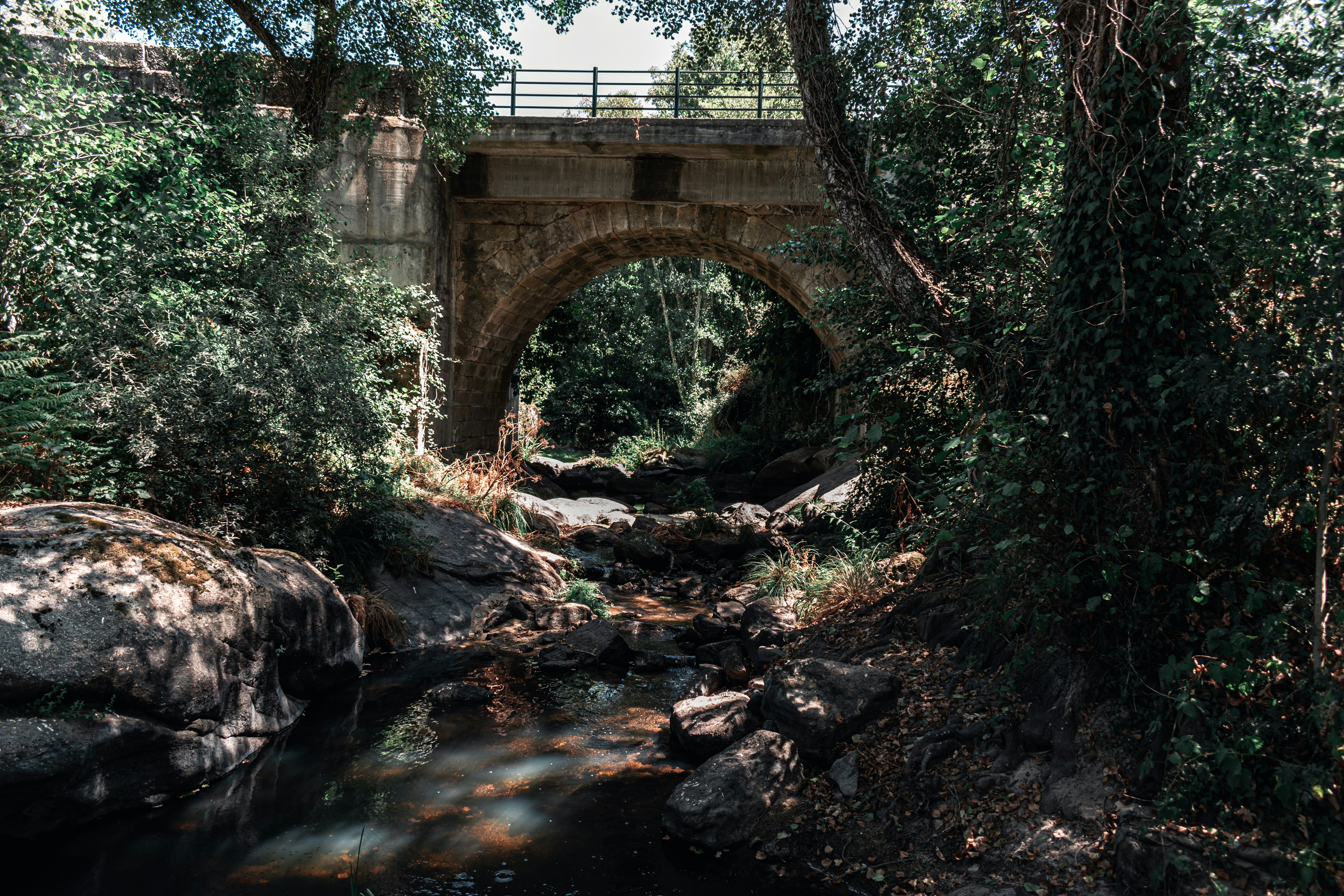 Photo by Vadym Alyekseyenko with Nikon D5500