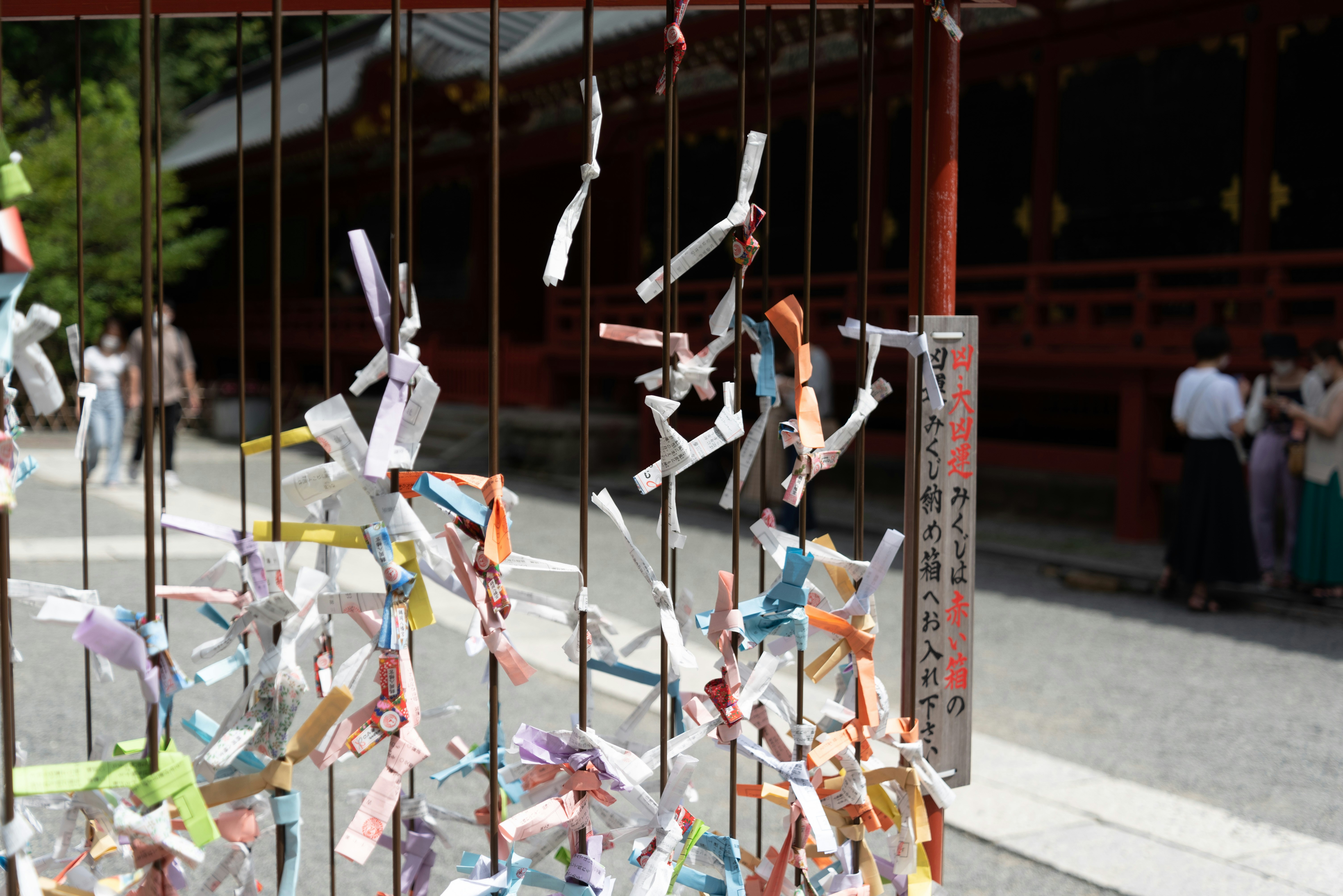 Colorful Tied Wishes at a Shinto Shrine Courtyard