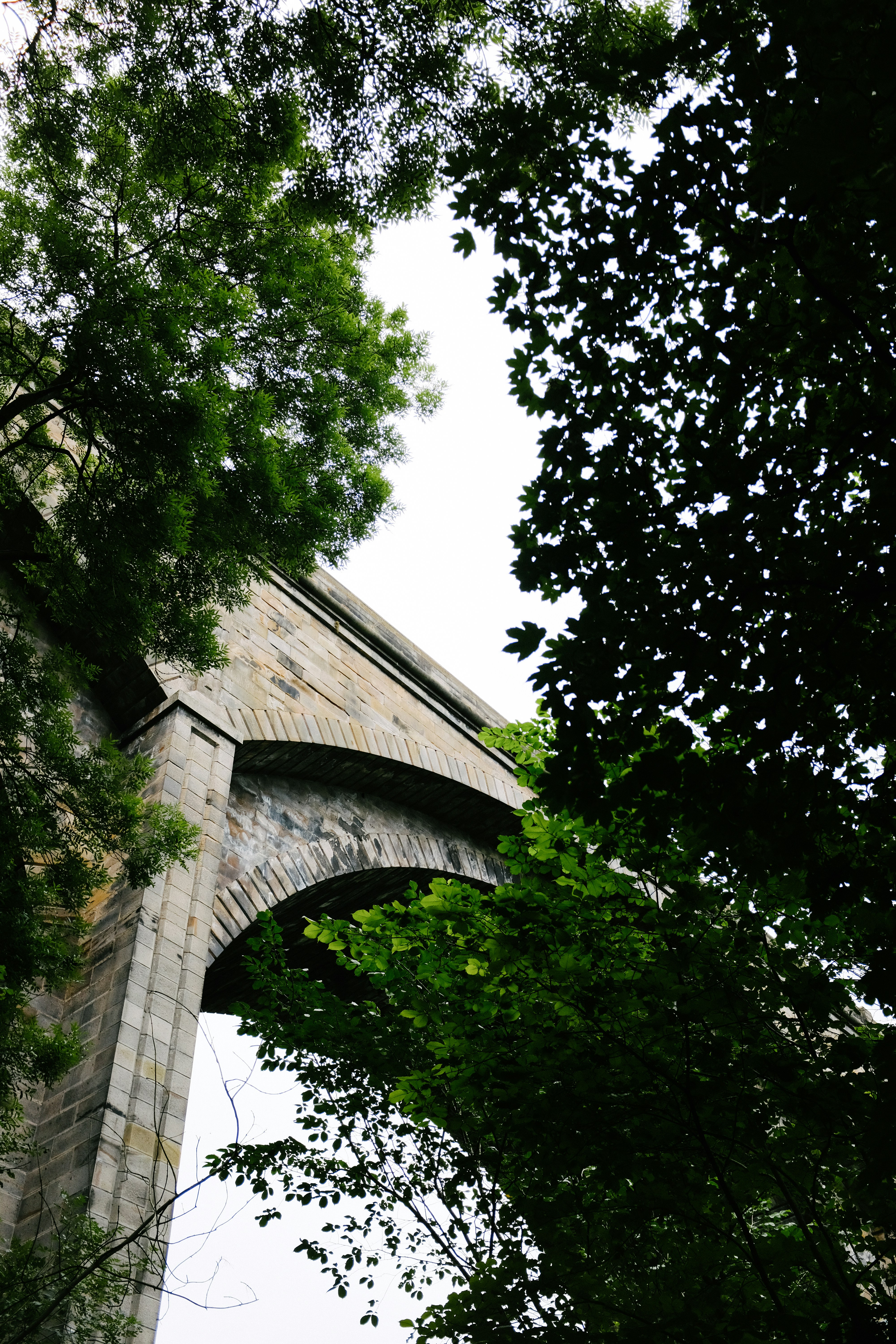 A historic stone bridge framed by lush green foliage, showcasing the interplay between nature and man-made structures.
