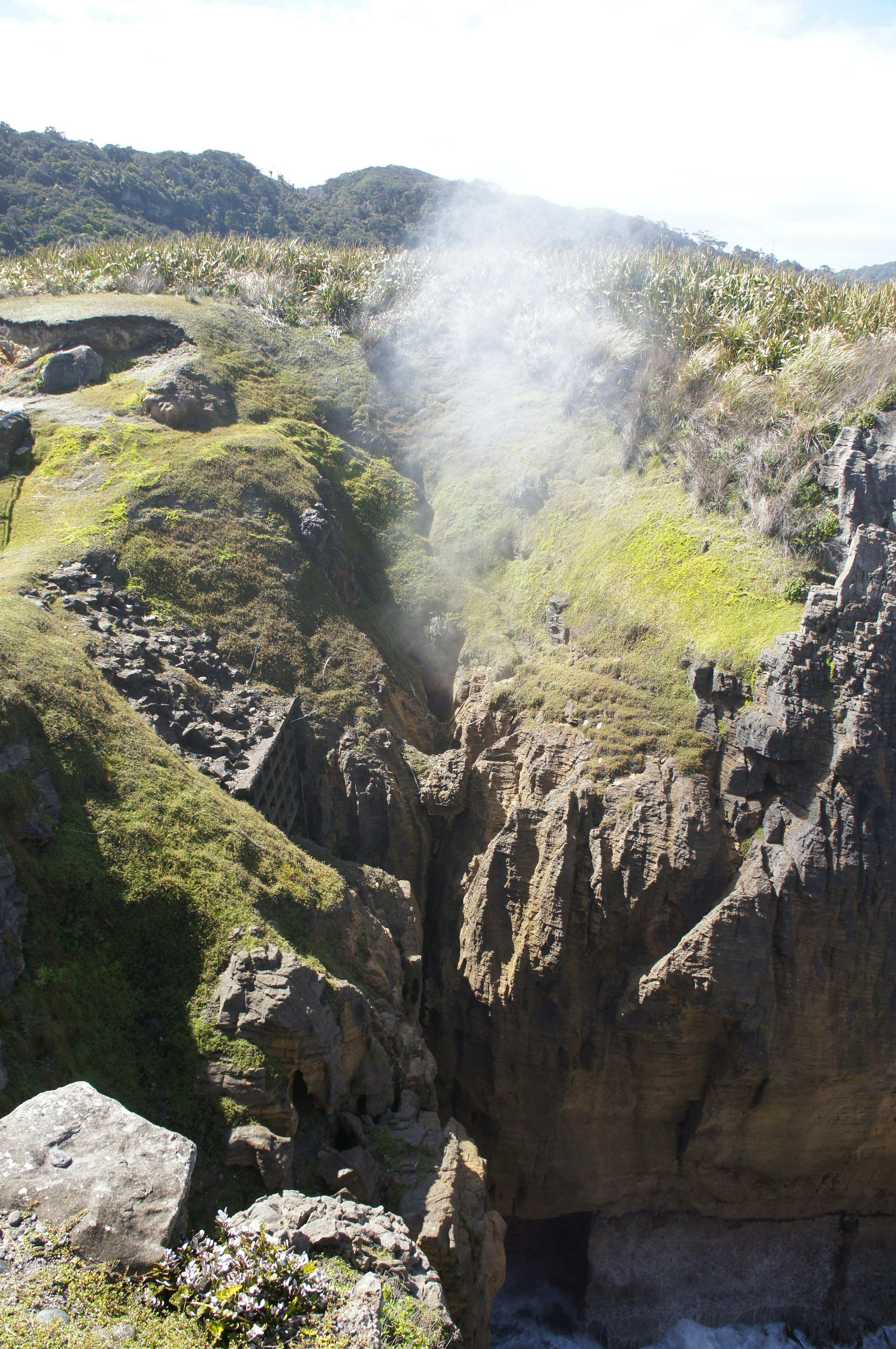 Morning Veil Over a Moss-Covered Gorge