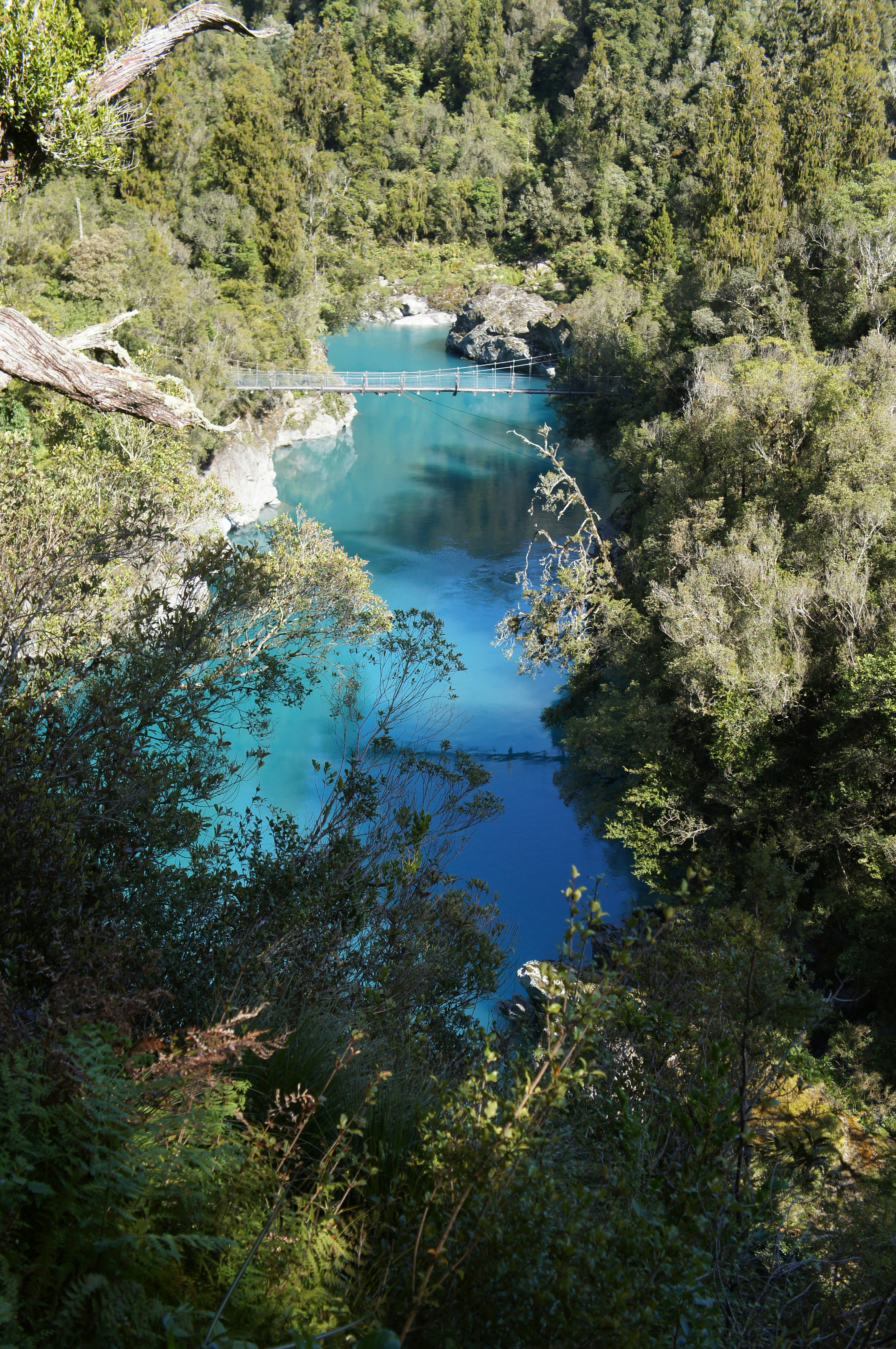 Emerald Gorge: A Crystal Stream Between Pines and Sky