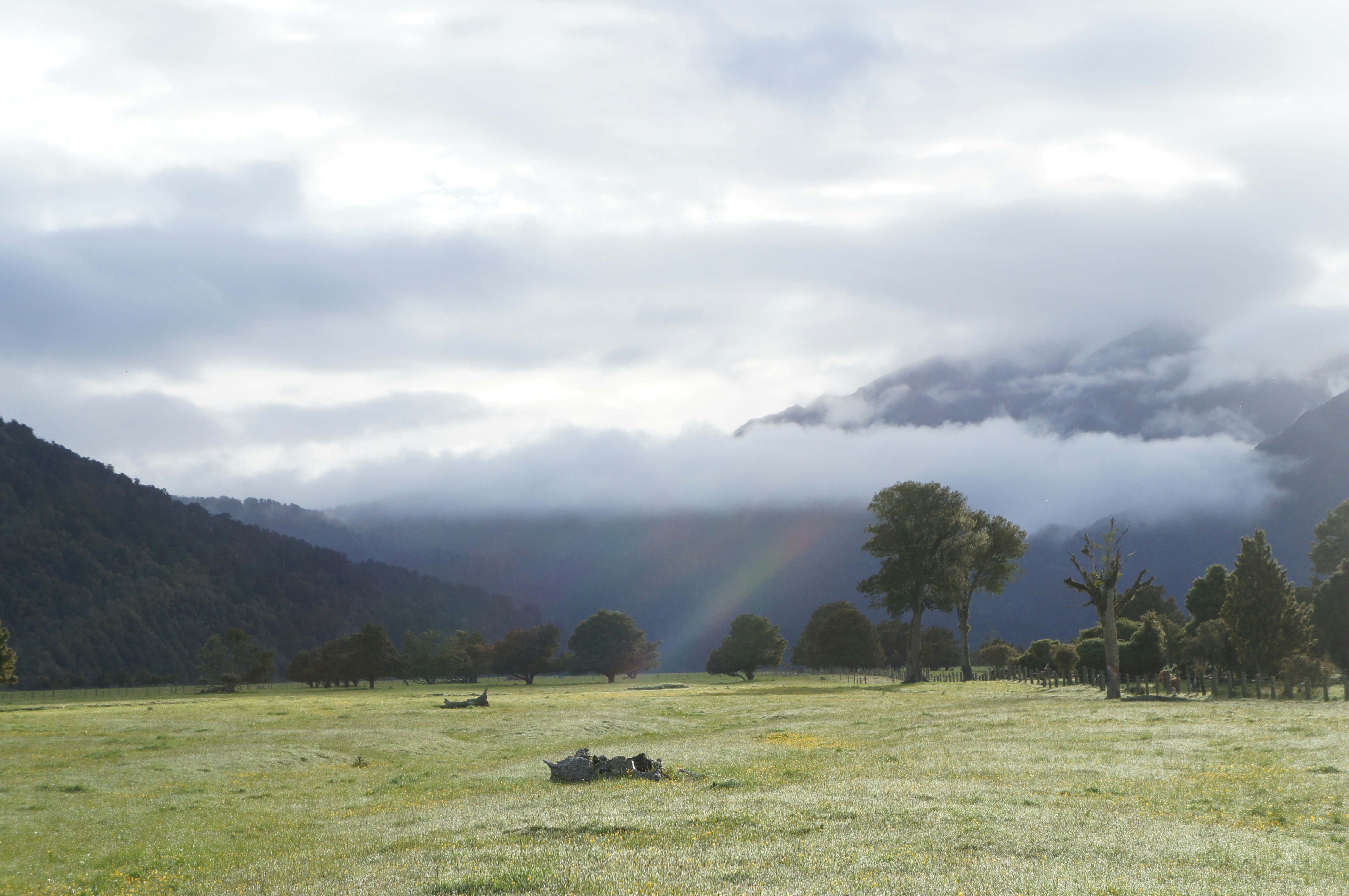A rainbow over a grassy field photo – Free Image on Unsplash