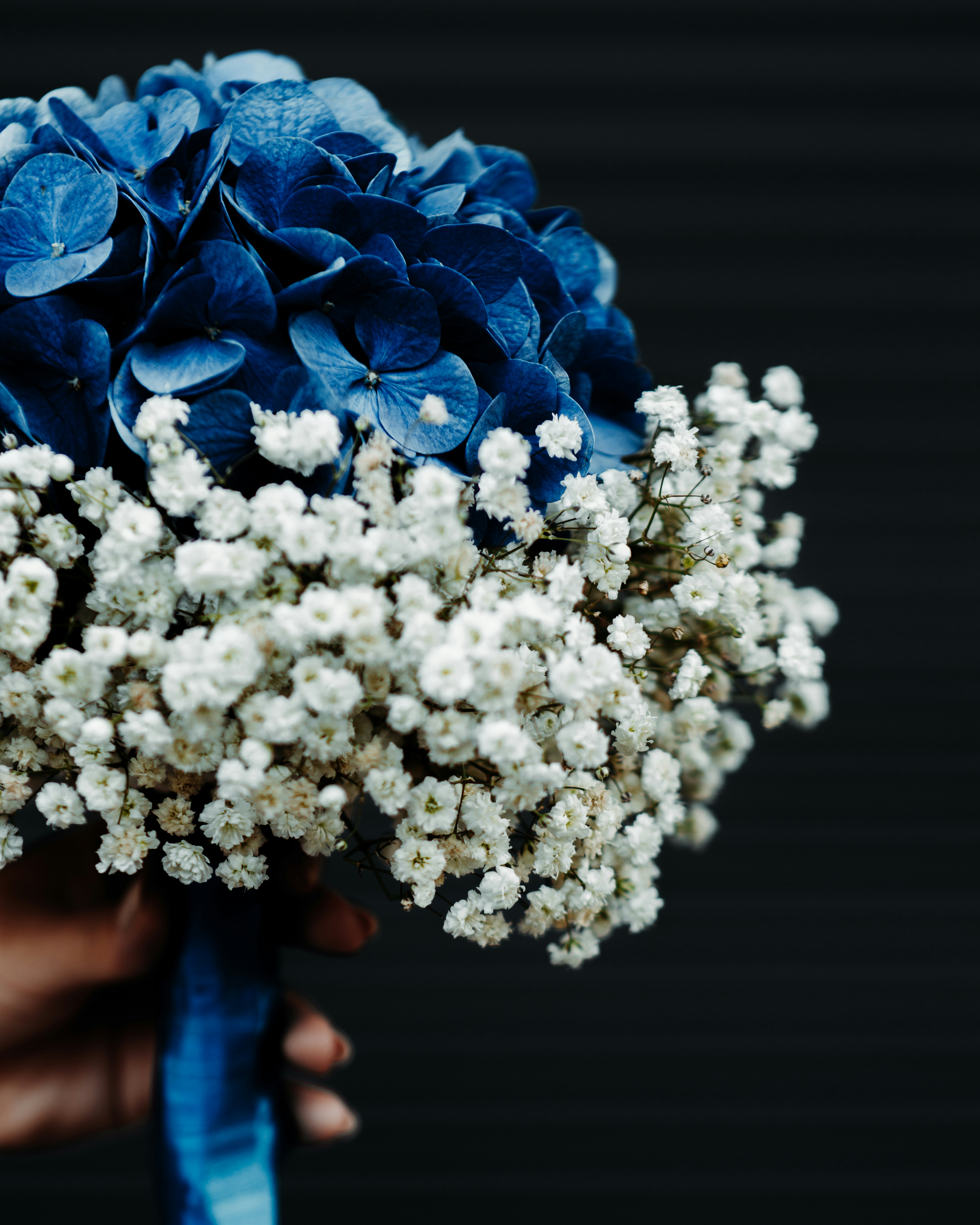Whispers of Elegance: A Floral Embrace