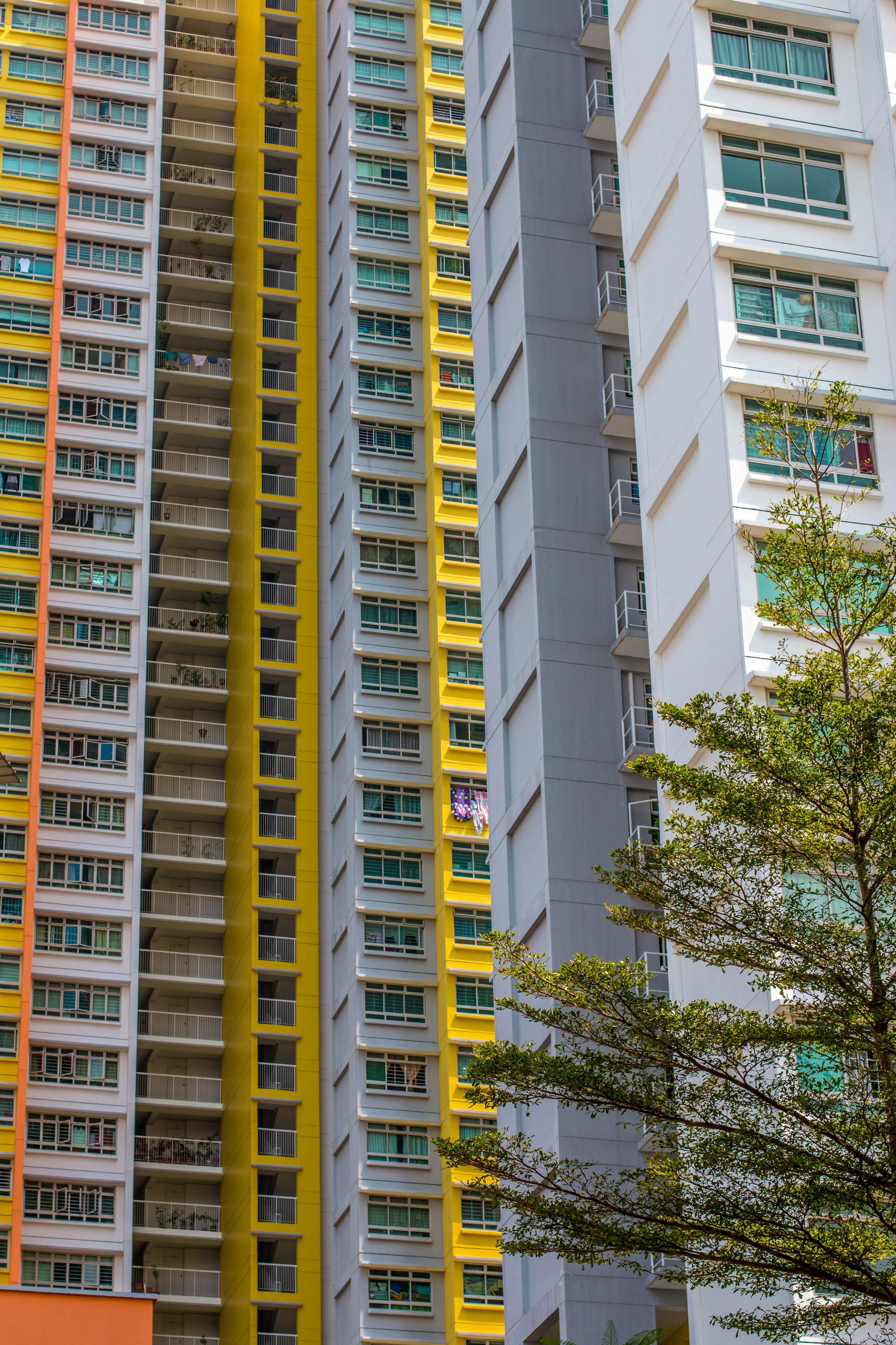 Colorful high-rise buildings with distinct architectural patterns and vibrant hues, showcasing urban living. A tree adds a touch of nature to the cityscape.
