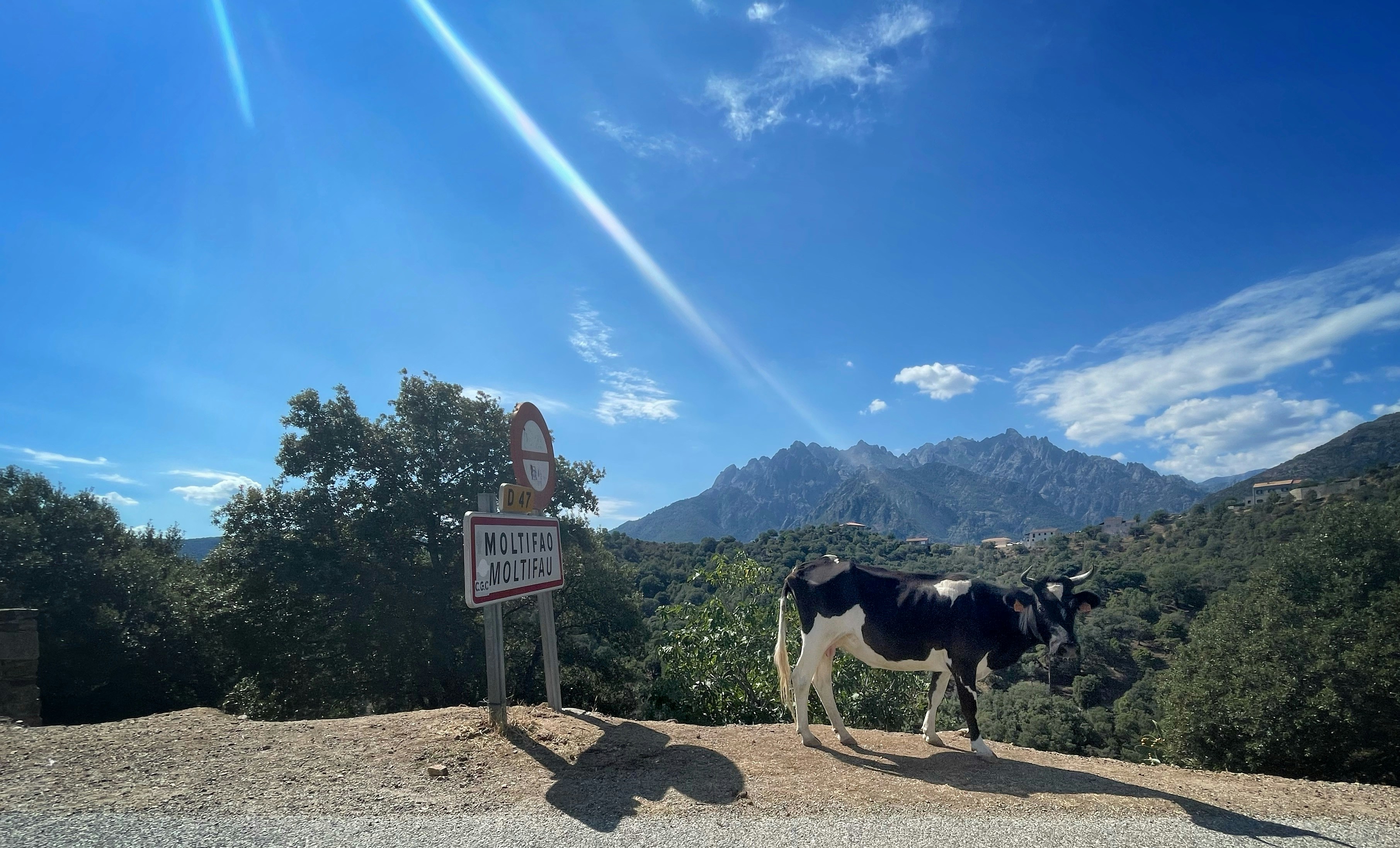 A cow grazes near a road sign amidst a backdrop of majestic mountains and clear blue skies.