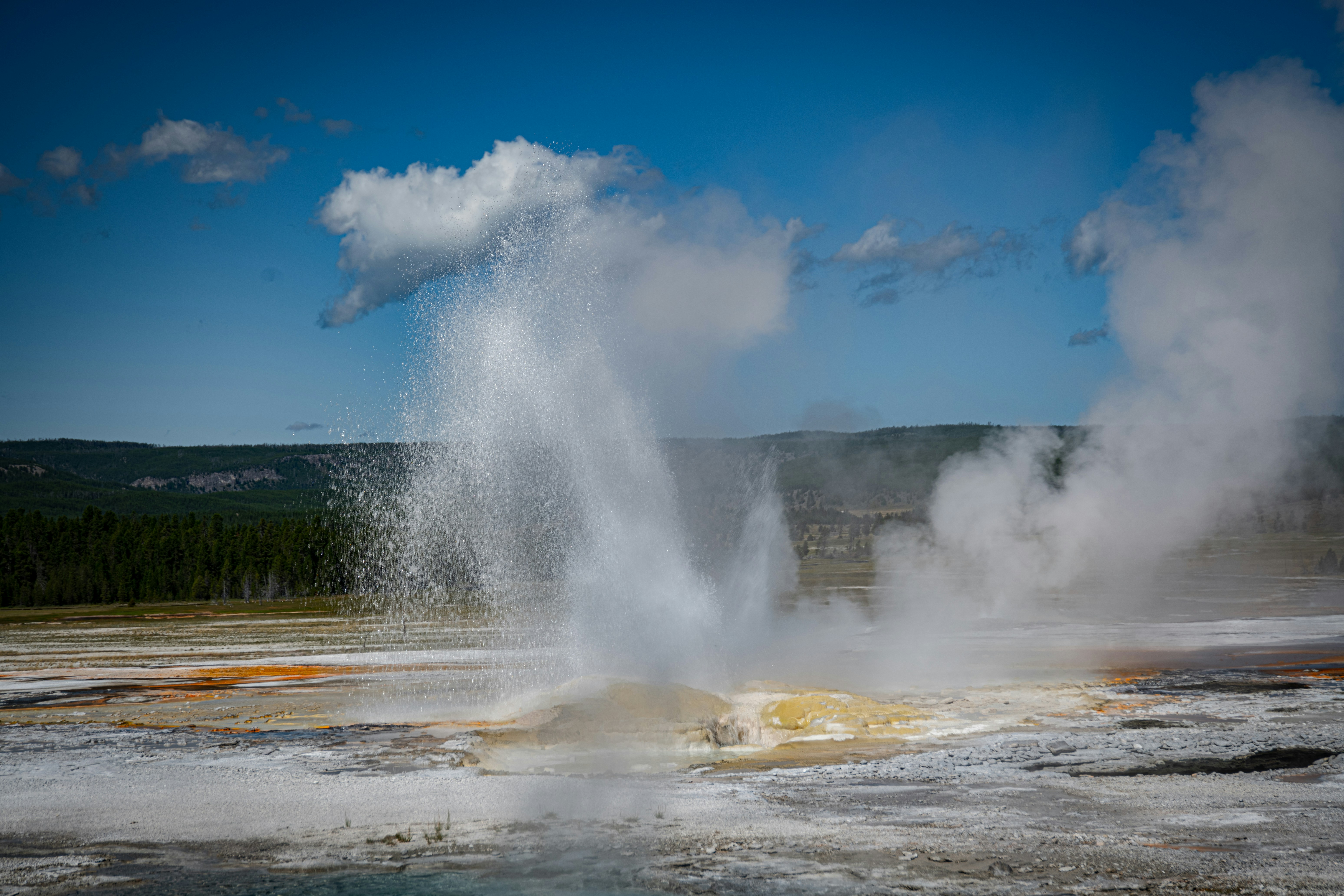 A large geyser in a field photo – Free Yellowstone national park Image ...