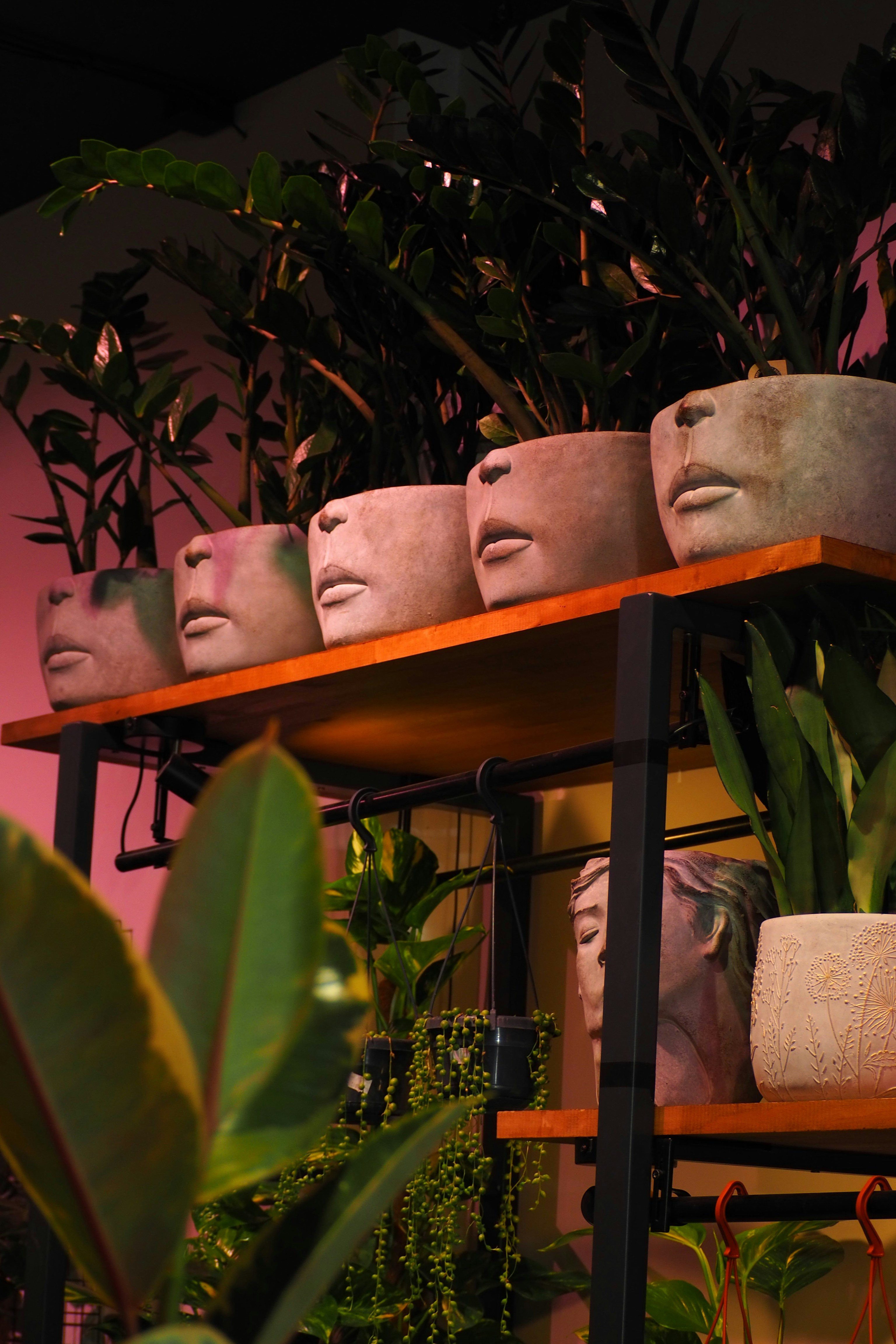 Flower pots beautiful 