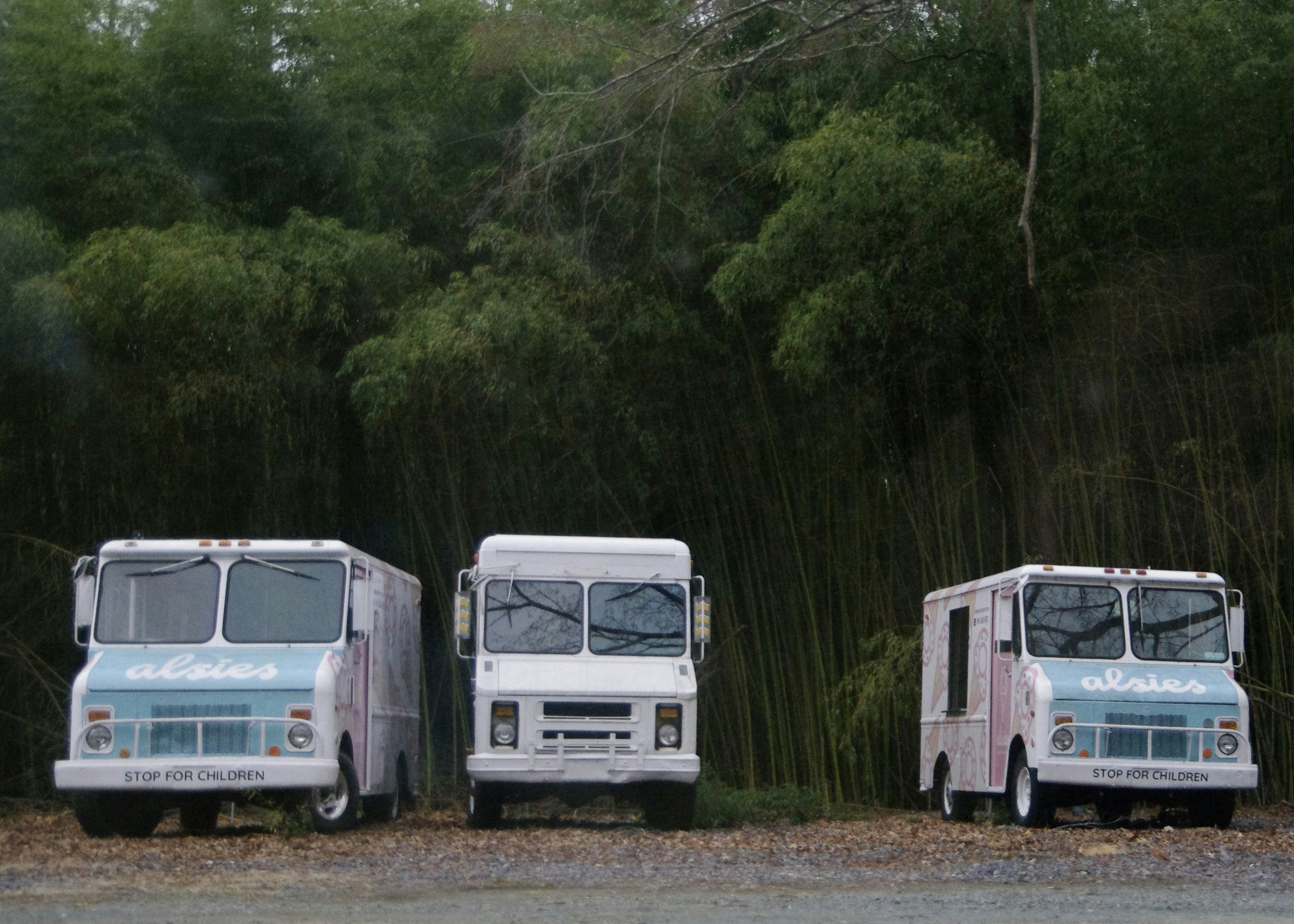 Shoreline Bespoke Vehicles Pictures | Download Free Images on Unsplash