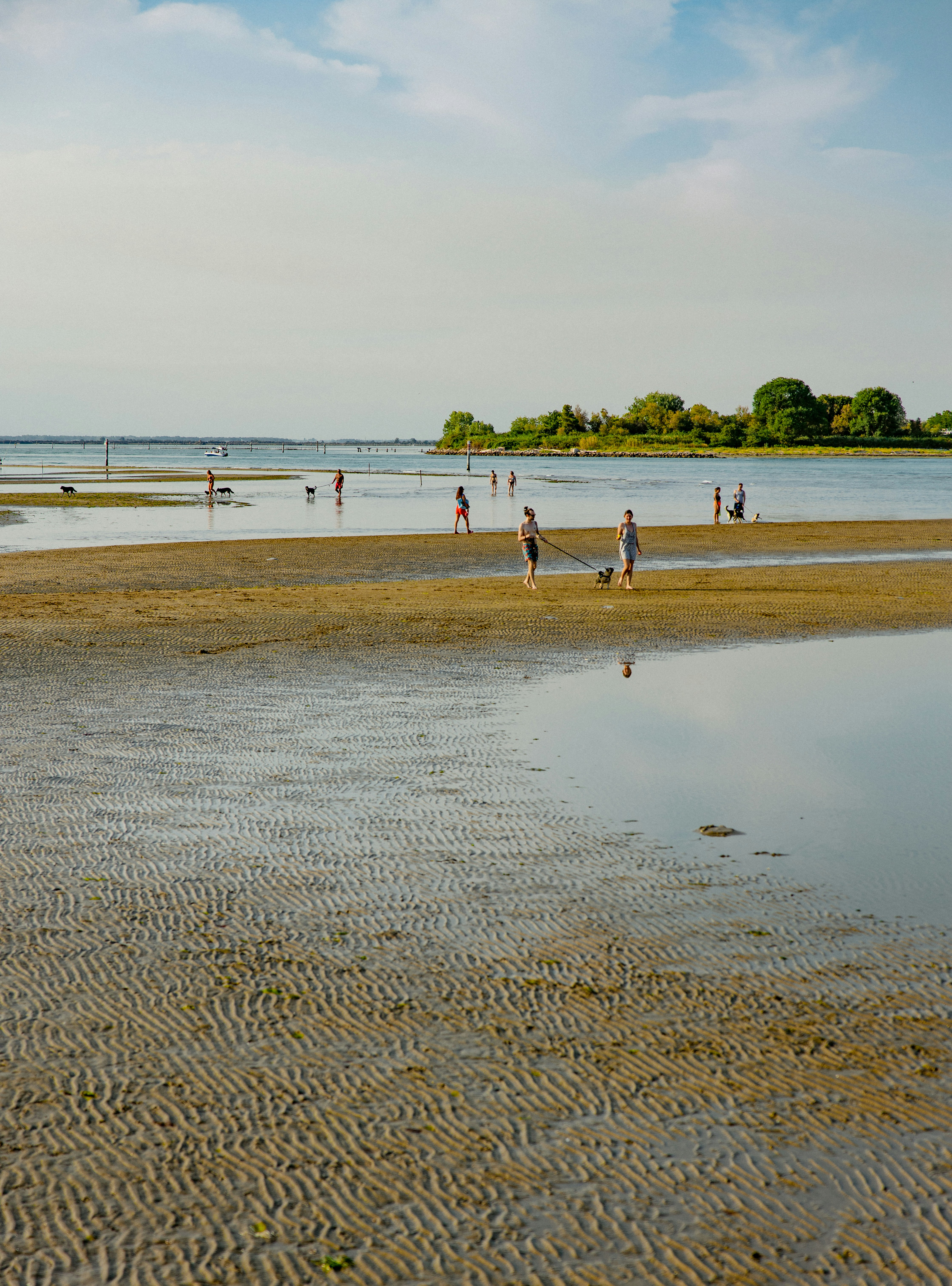 a group of people on a beach