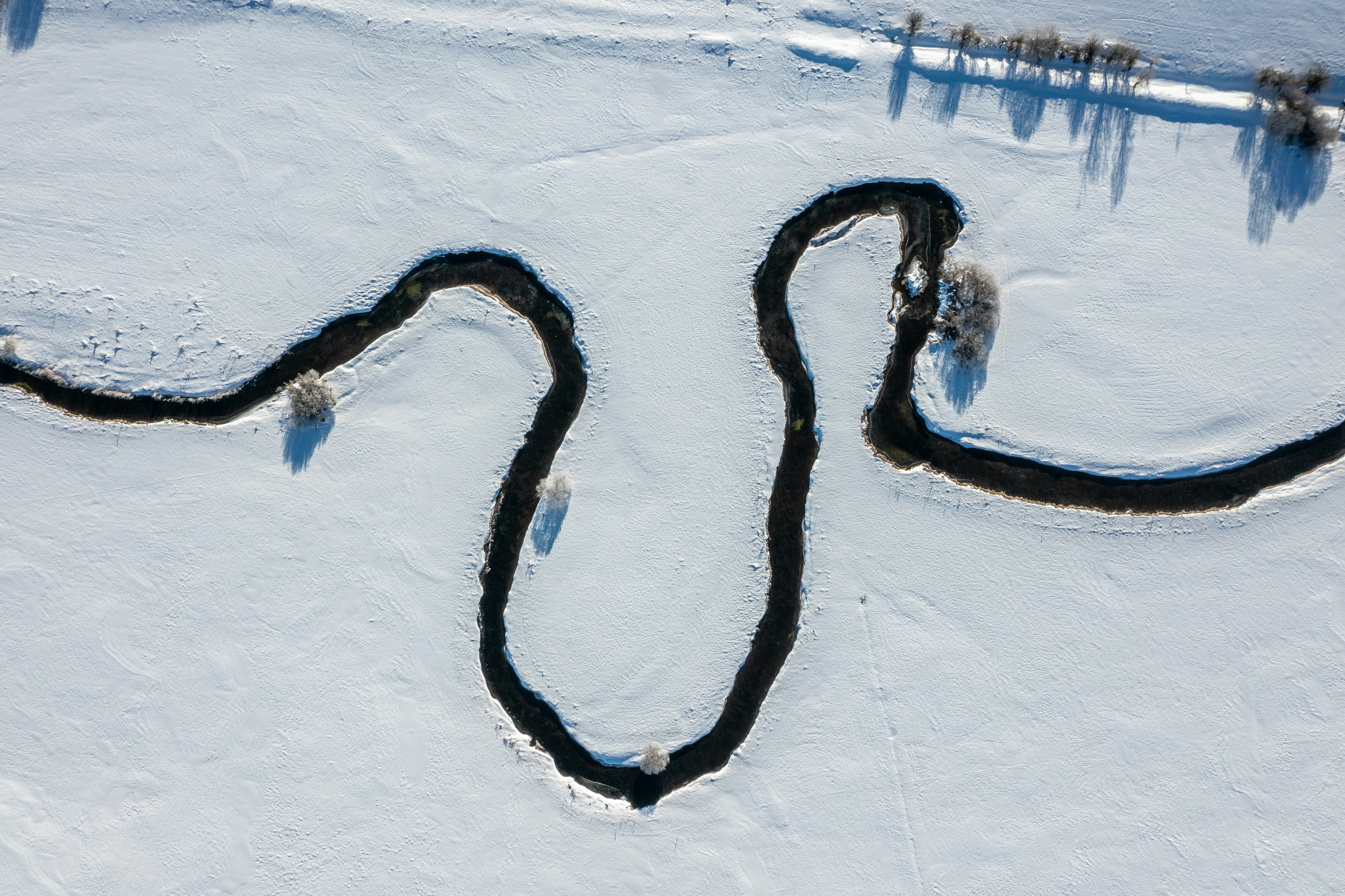 A snake in the snow photo – Free Switzerland Image on Unsplash