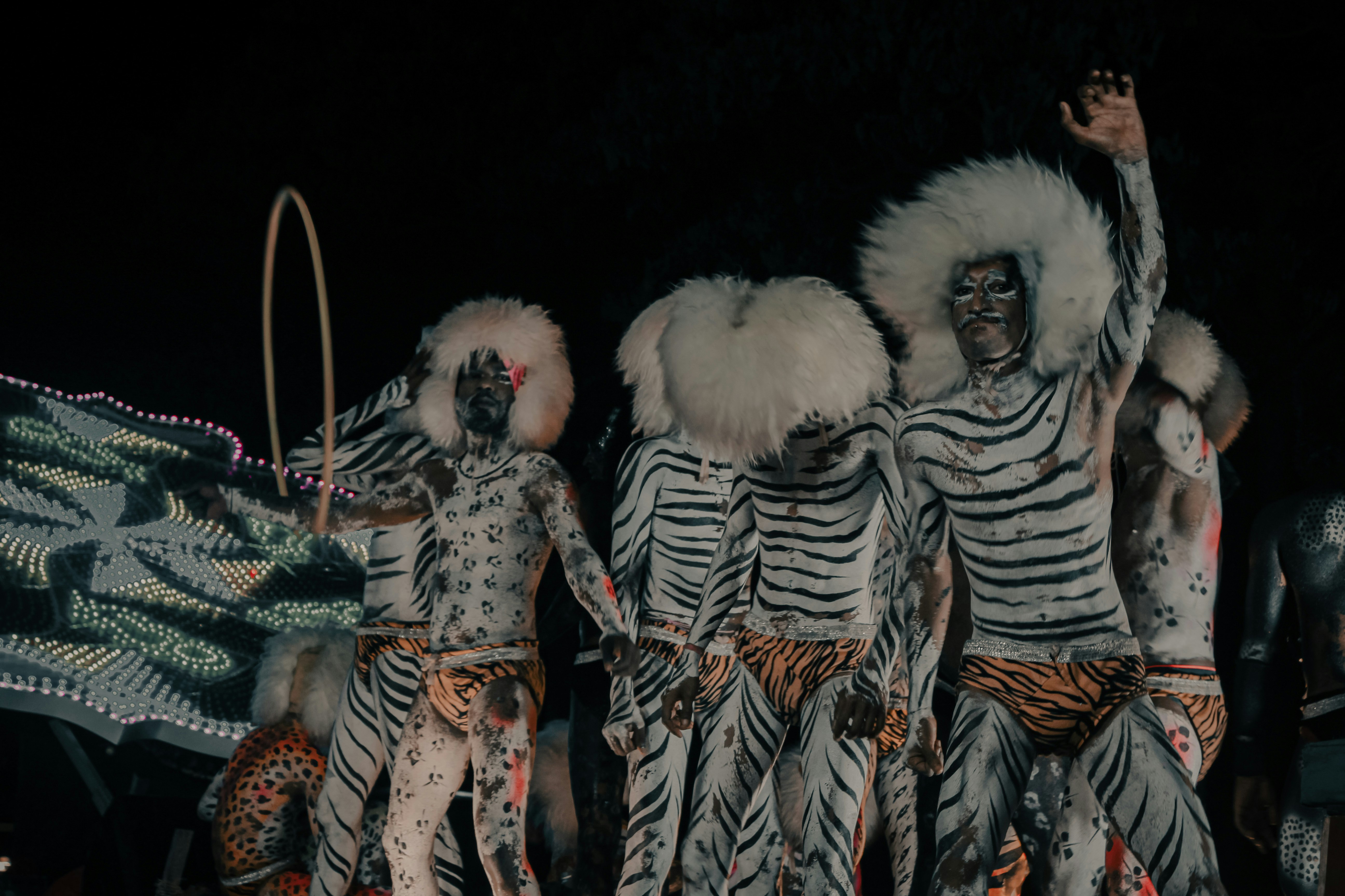 Midnight Zebra Parade: Feathery Headdresses and Striped Silhouettes Under Carnival Lights