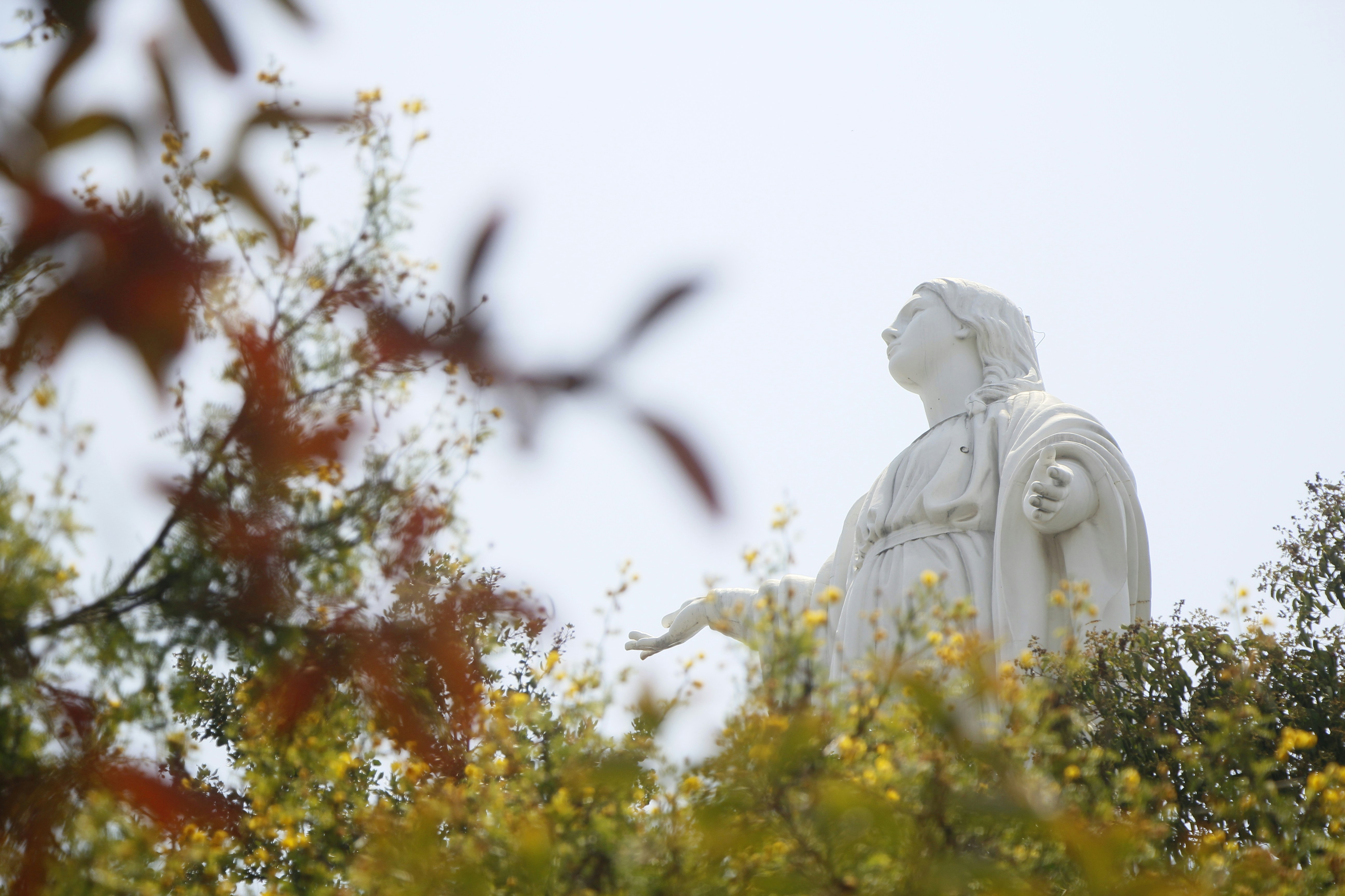 Marble Sentinel Above Autumn Blooms