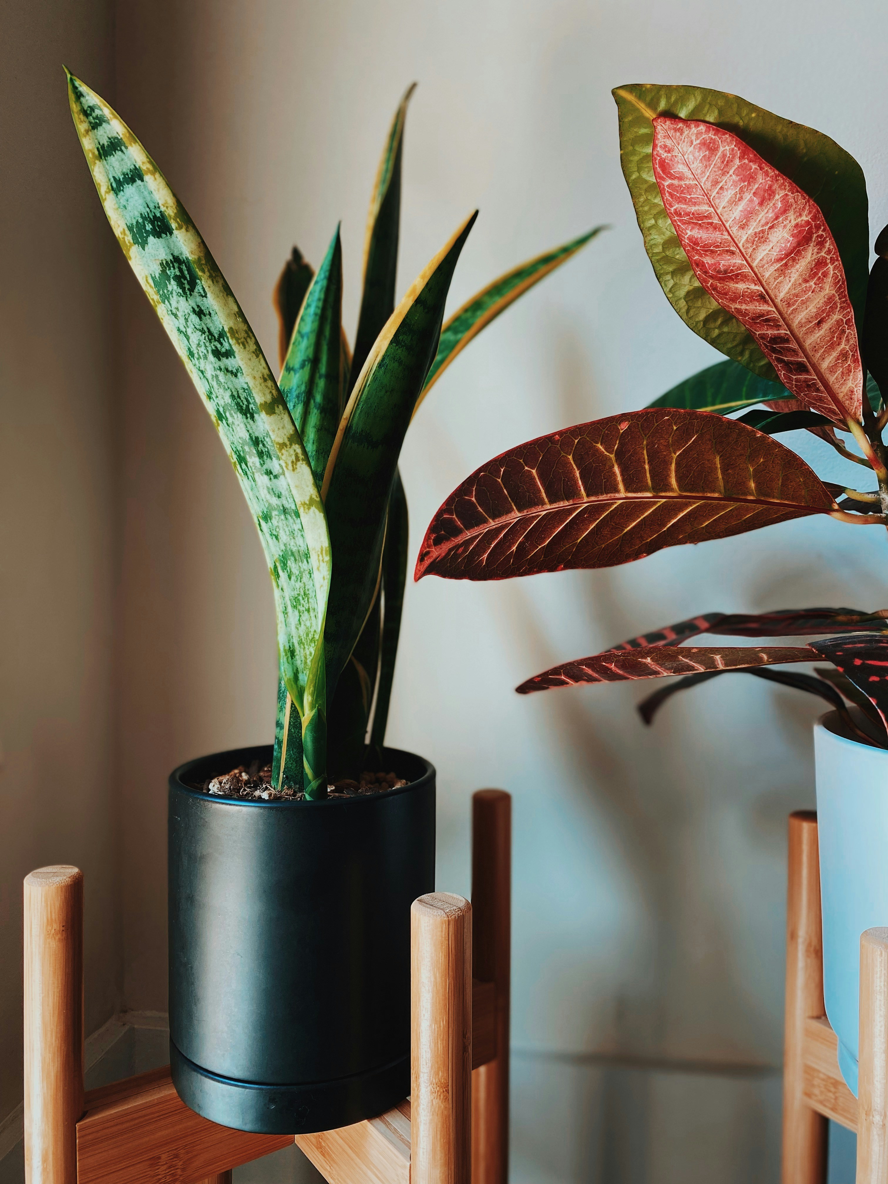 Photo by Madalyn Cox with Apple iPhone 11 Pro