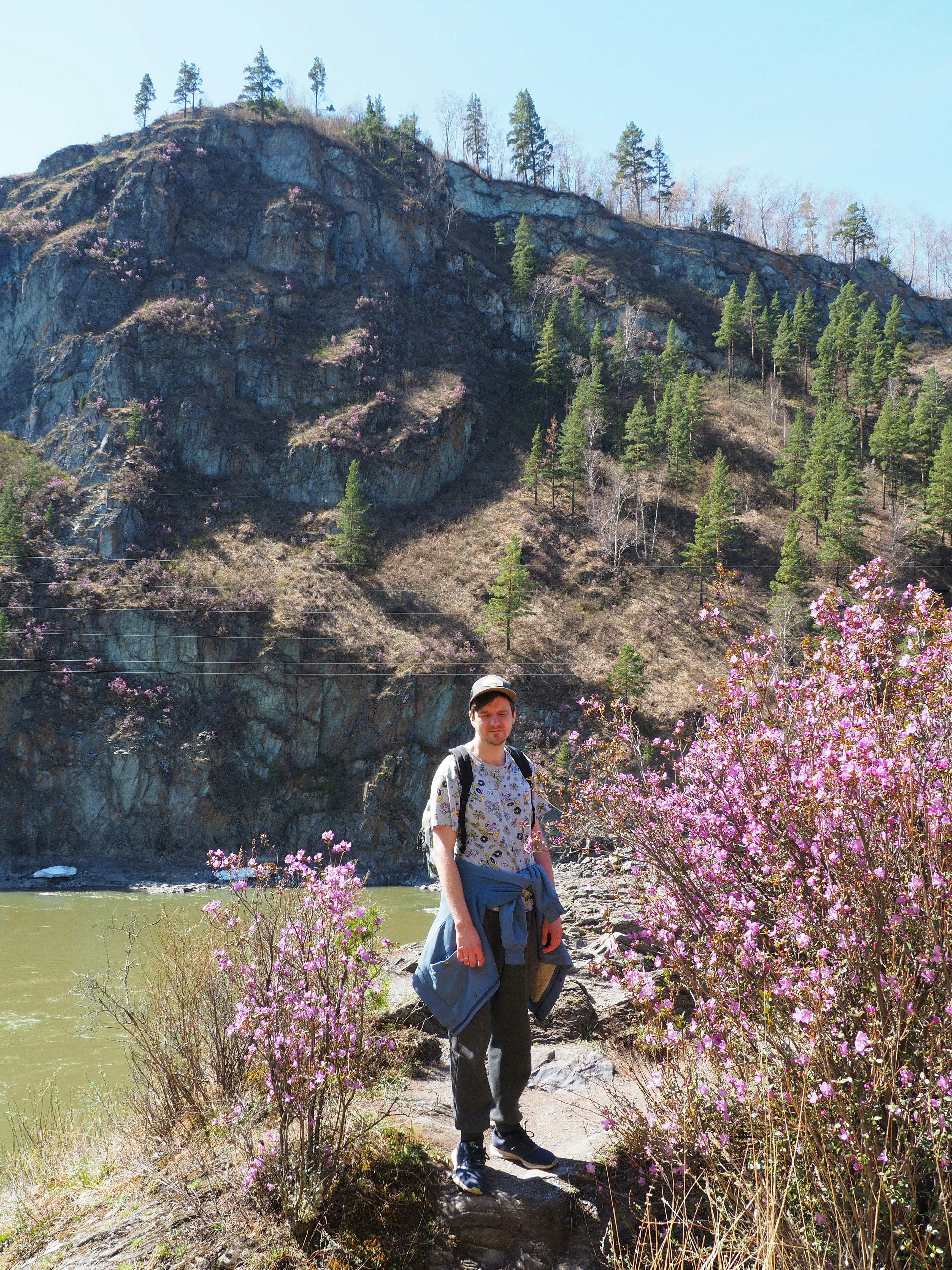Traveler Among Pink Blossoms by a Riverside Cliff