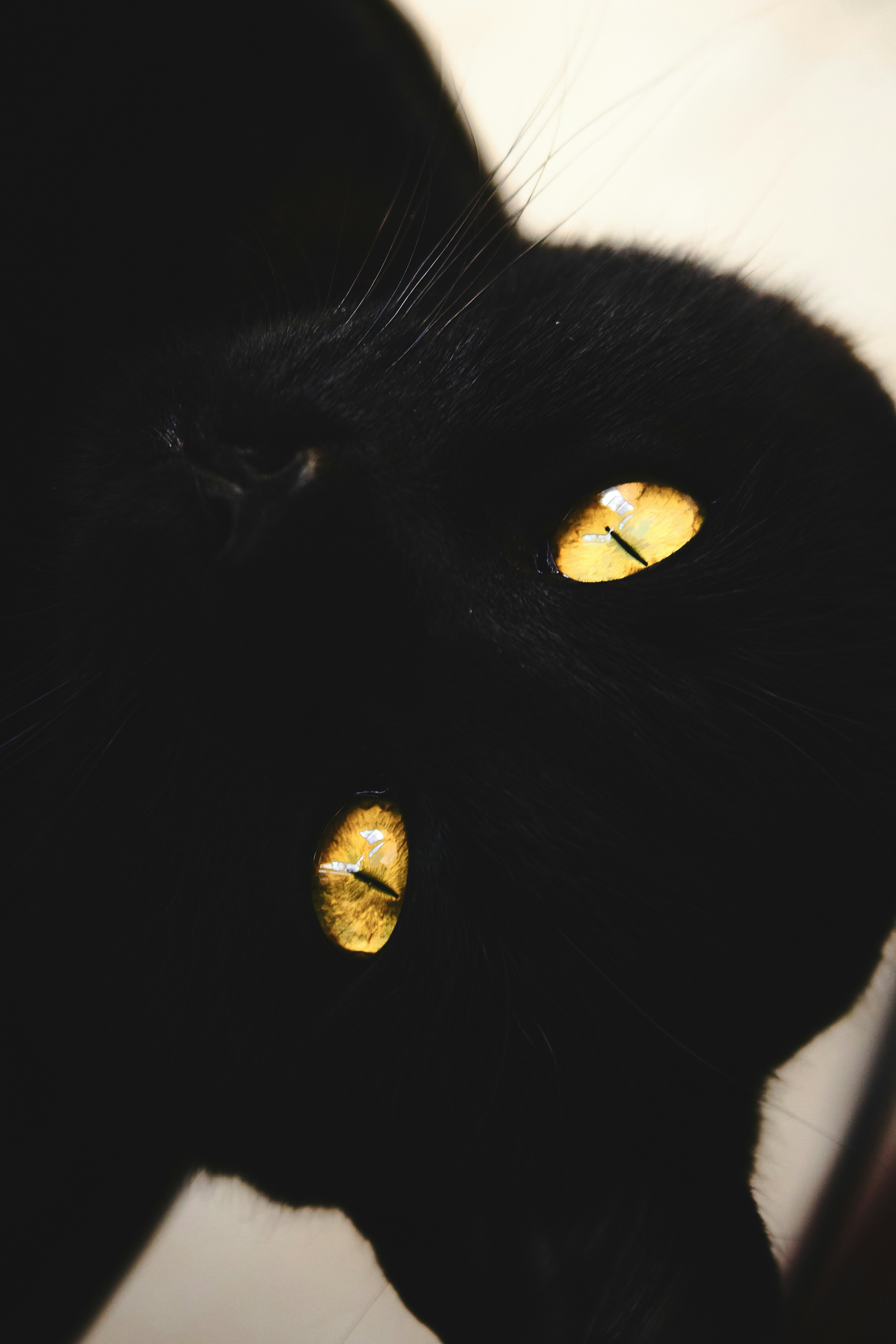 Photo by Mateo Chérrez with Canon EOS 1200D