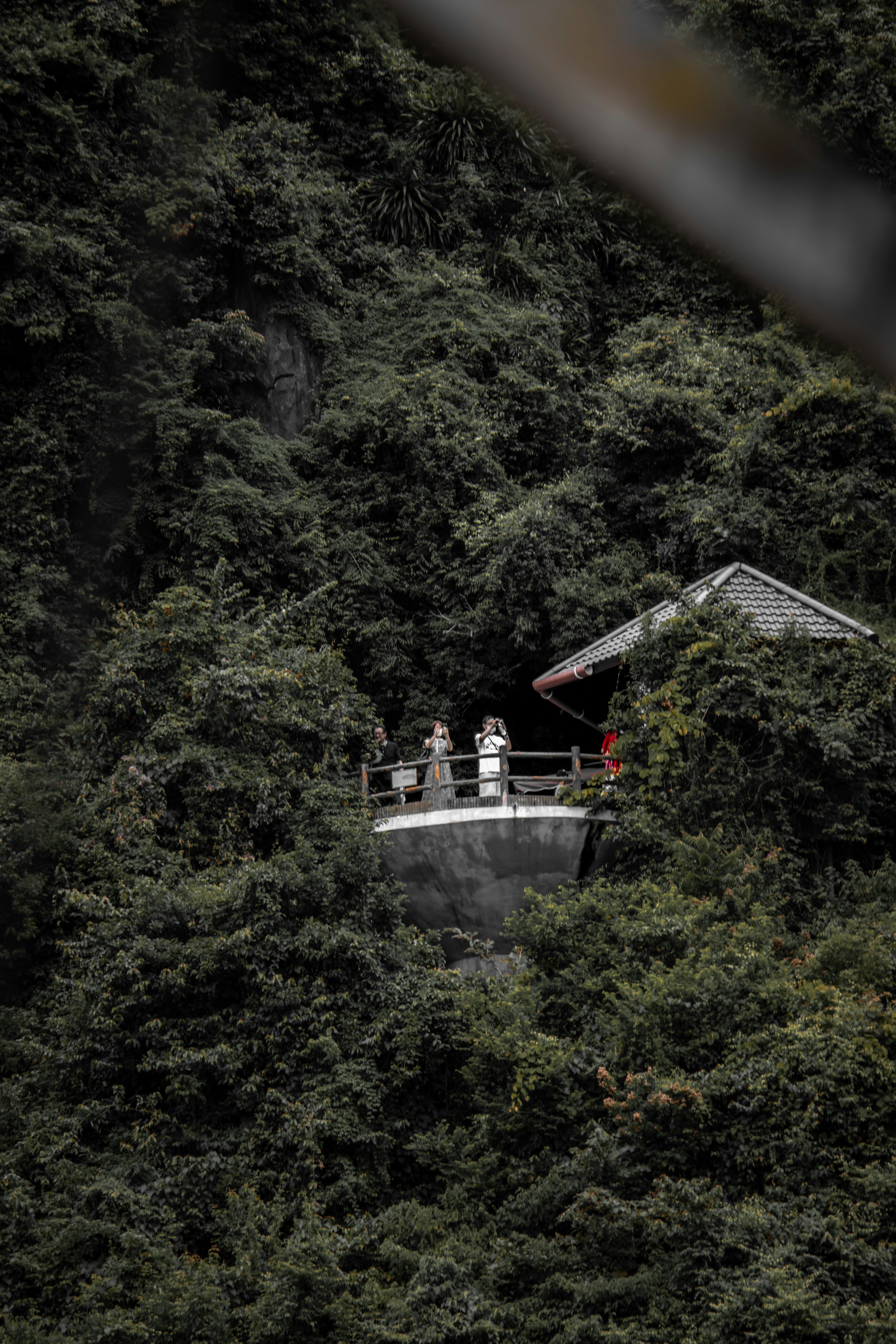 Forest Perch: Cliffside Balcony Amid Dense Green