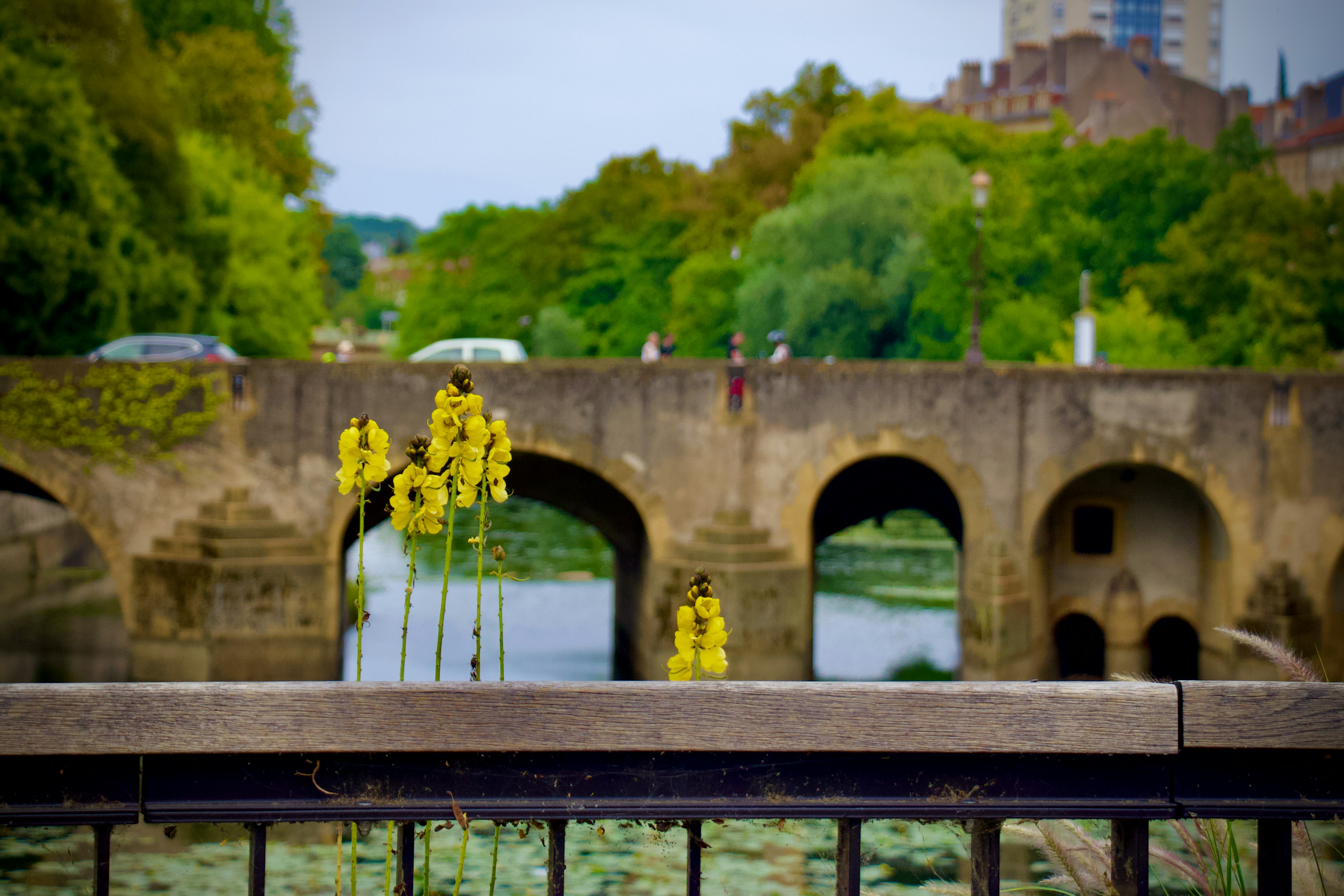 Photo by Soroush H. Zargarbashi with Canon EOS 700D