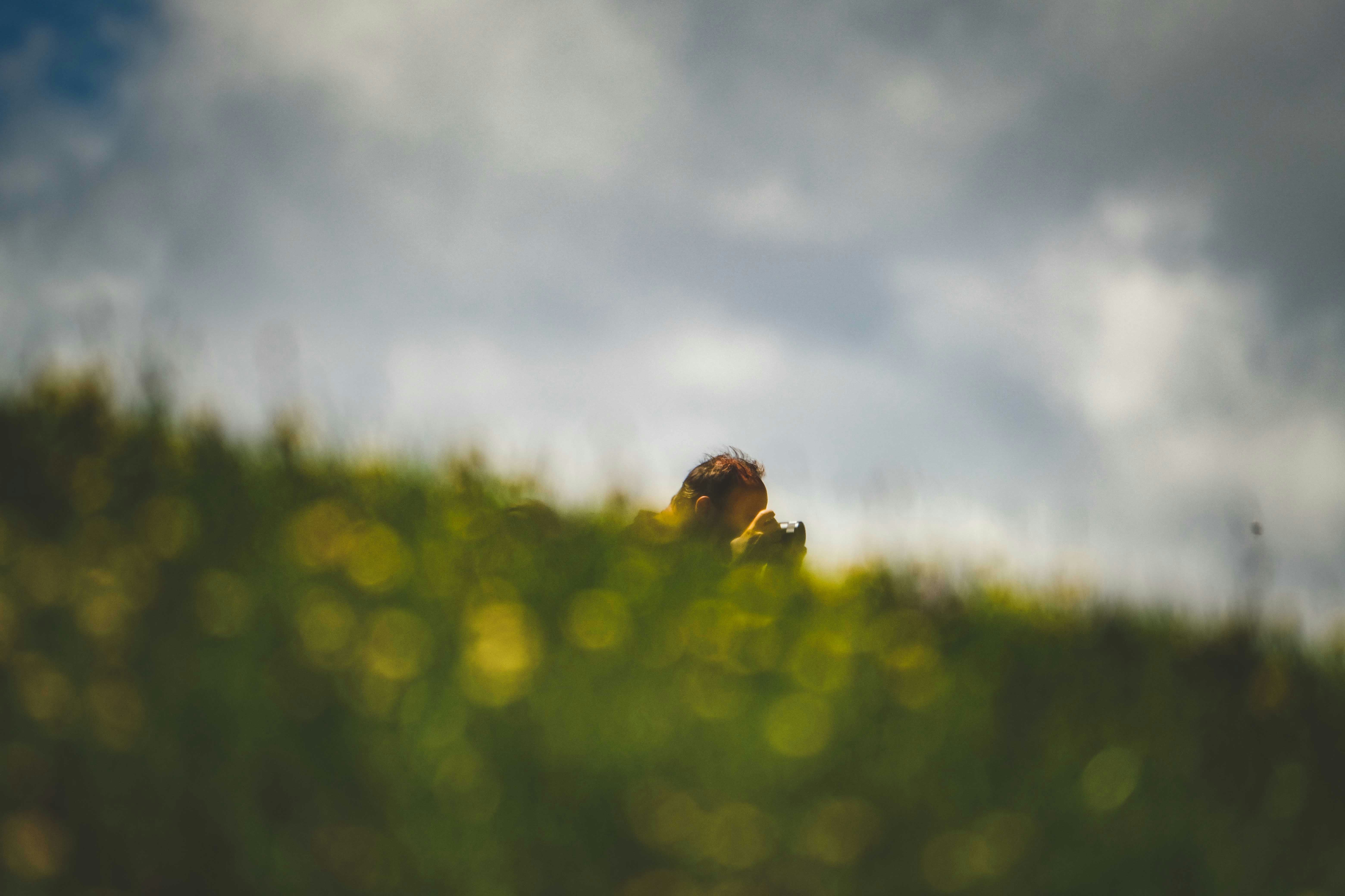 Hidden Muse in the Field: A Quiet Moment Above the Bloom