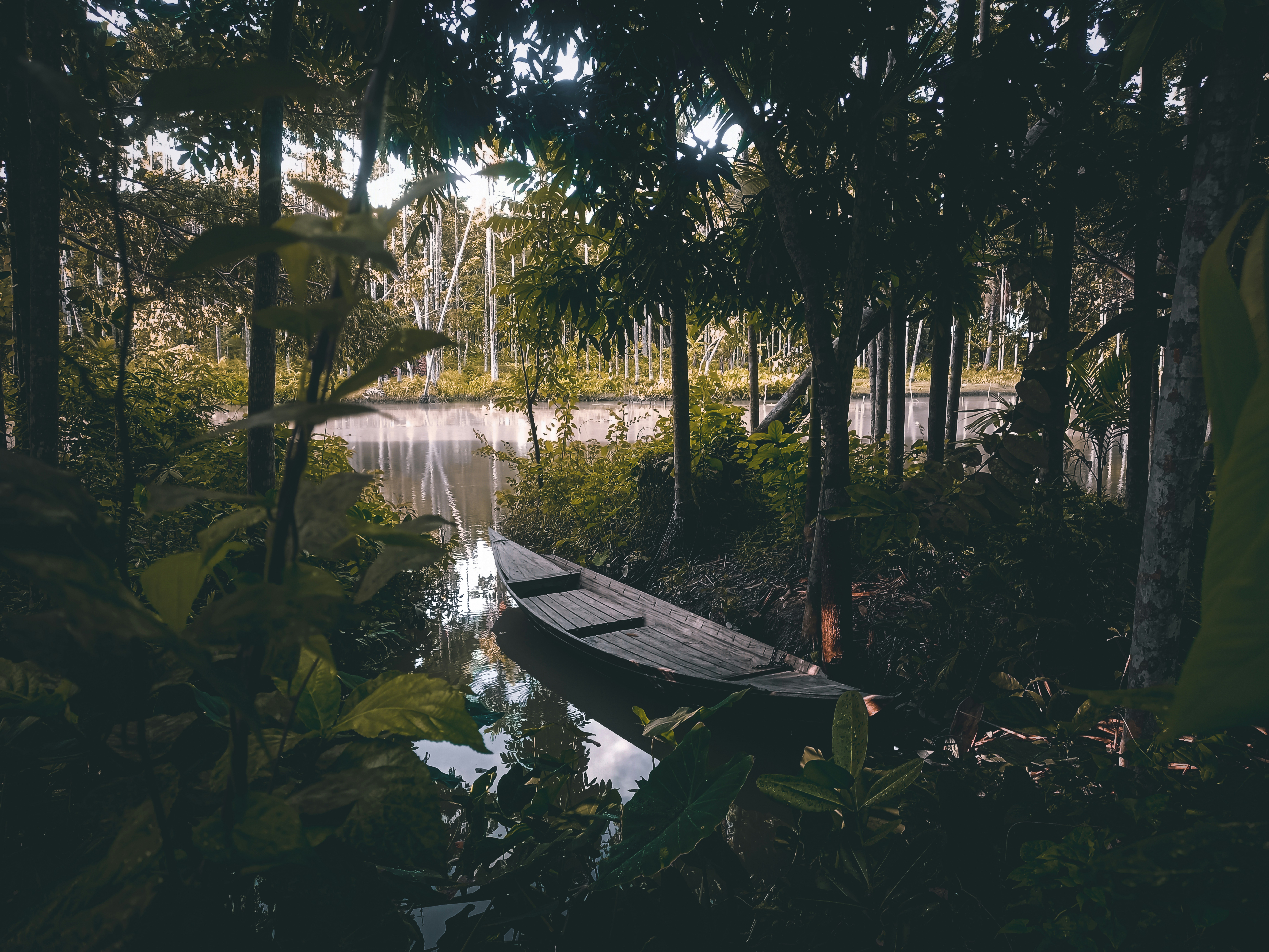 A boat in a swamp photo – Free Nazirpur dirgha road Image on Unsplash