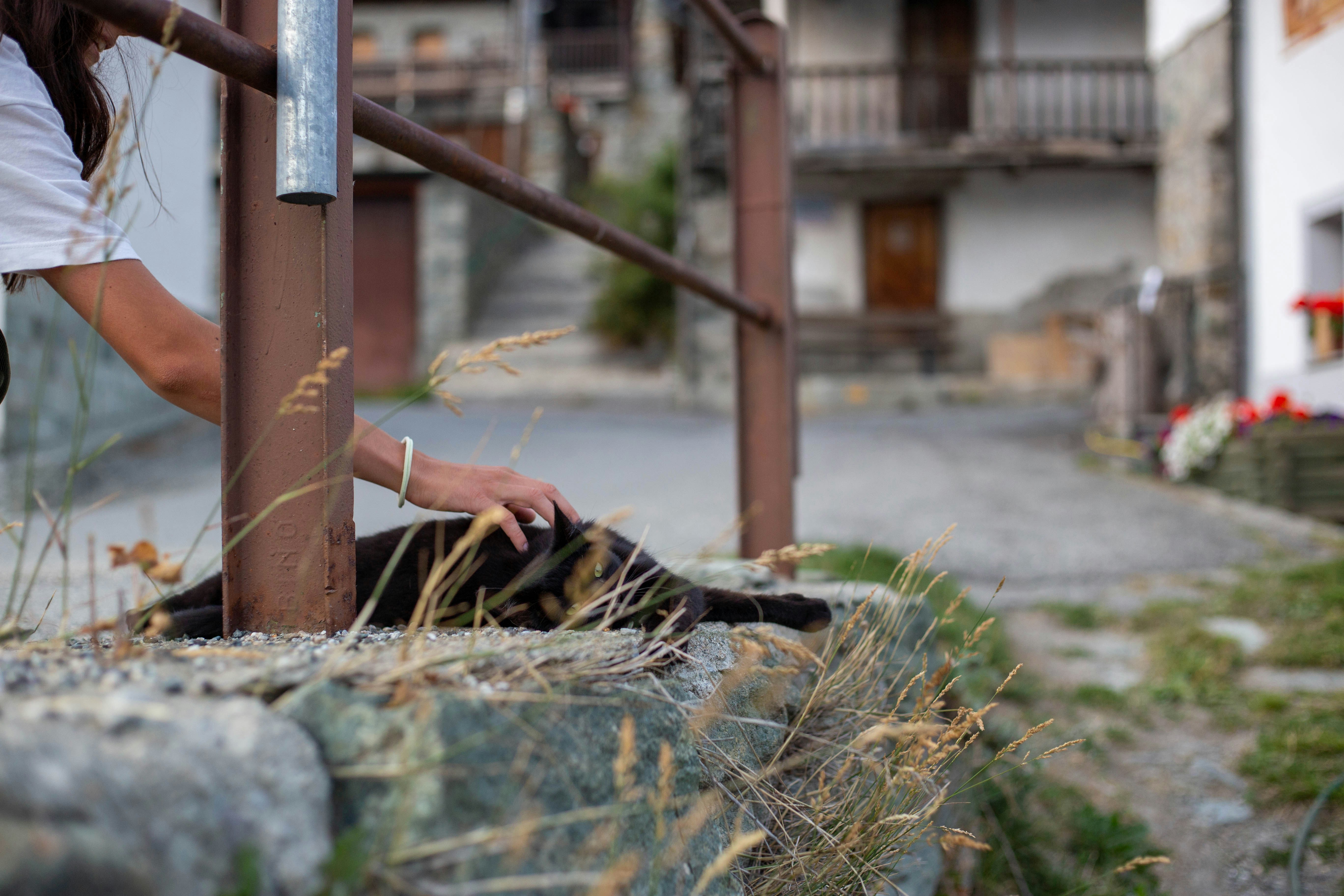 Hands at the Edge: A Quiet Moment by the Rails