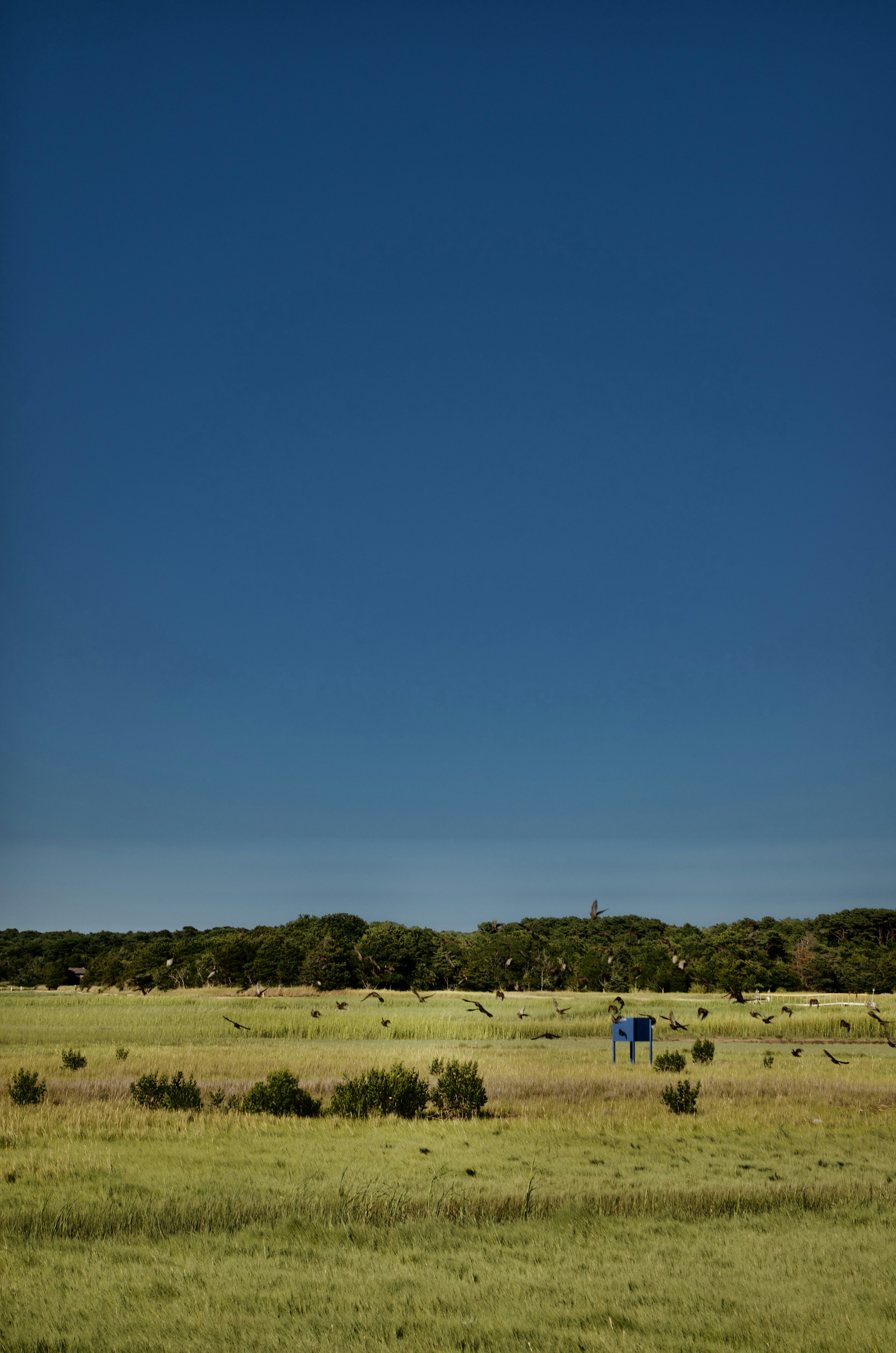 Photo by COLTON H with Nikon D5100