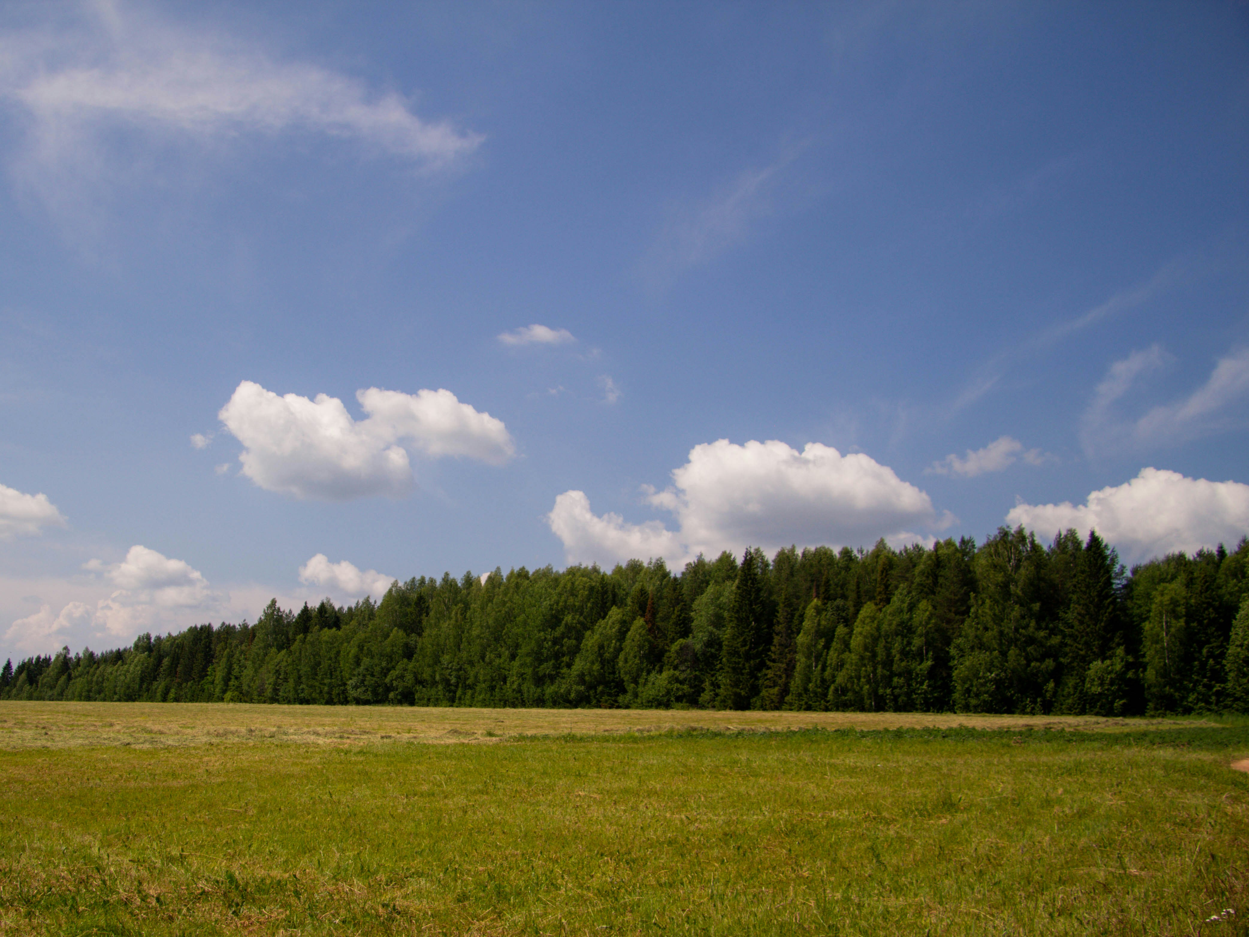 Photo by Albert Sukhanov with Canon EOS 60D