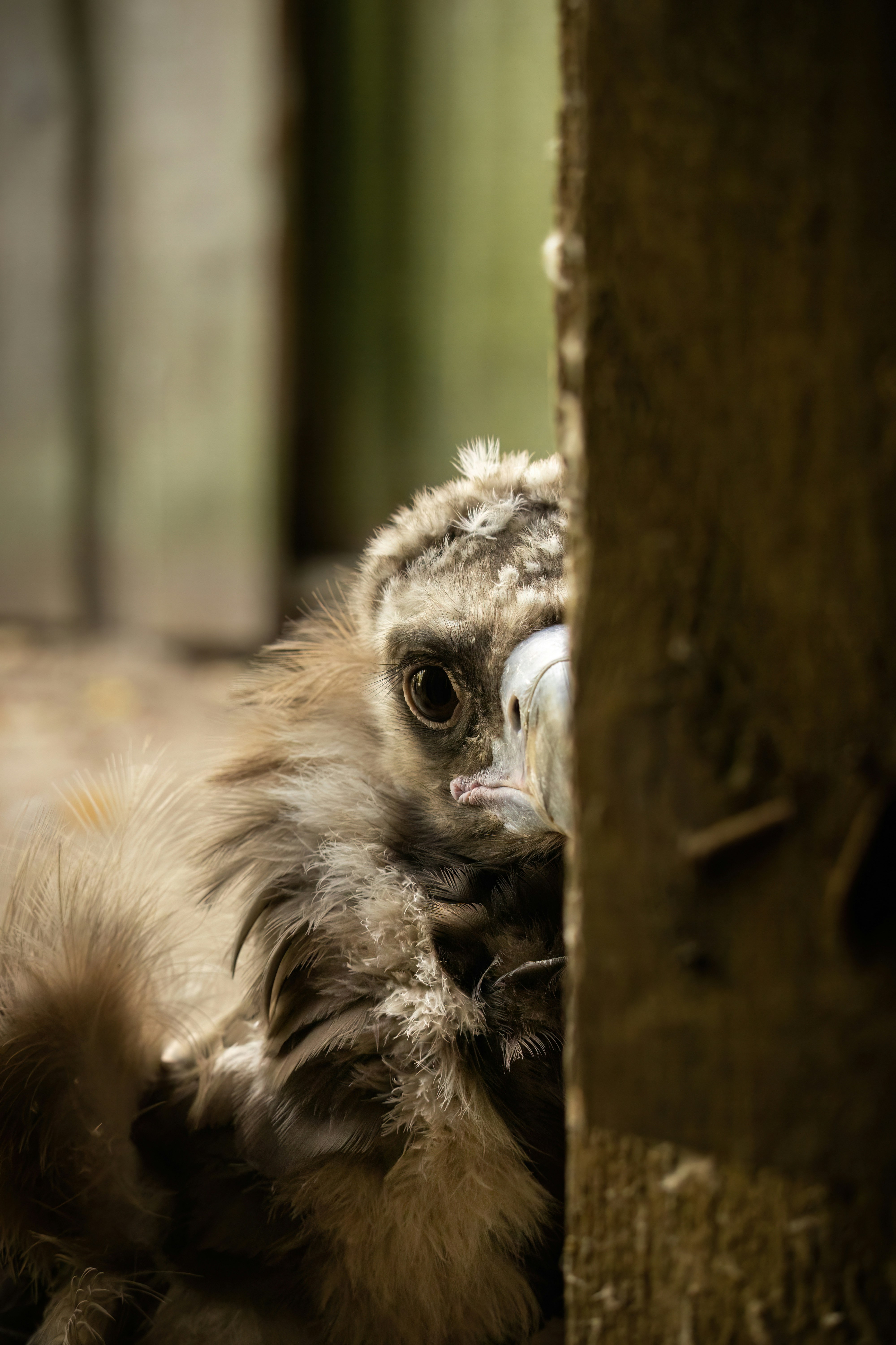 Photo by Jevgeni Fil with Canon EOS 850D