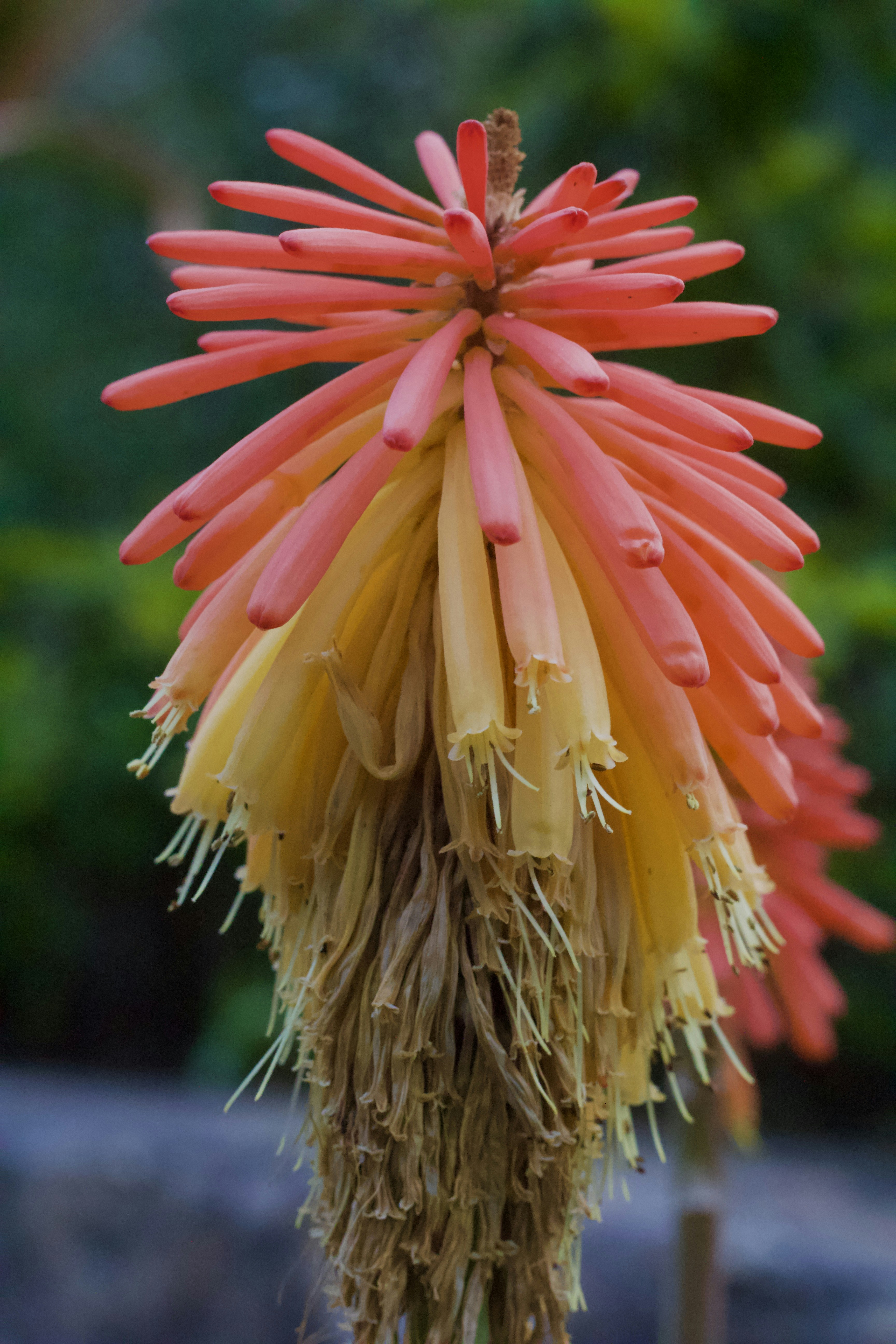 Photo by Ethan Nyatsine with Canon EOS 60D