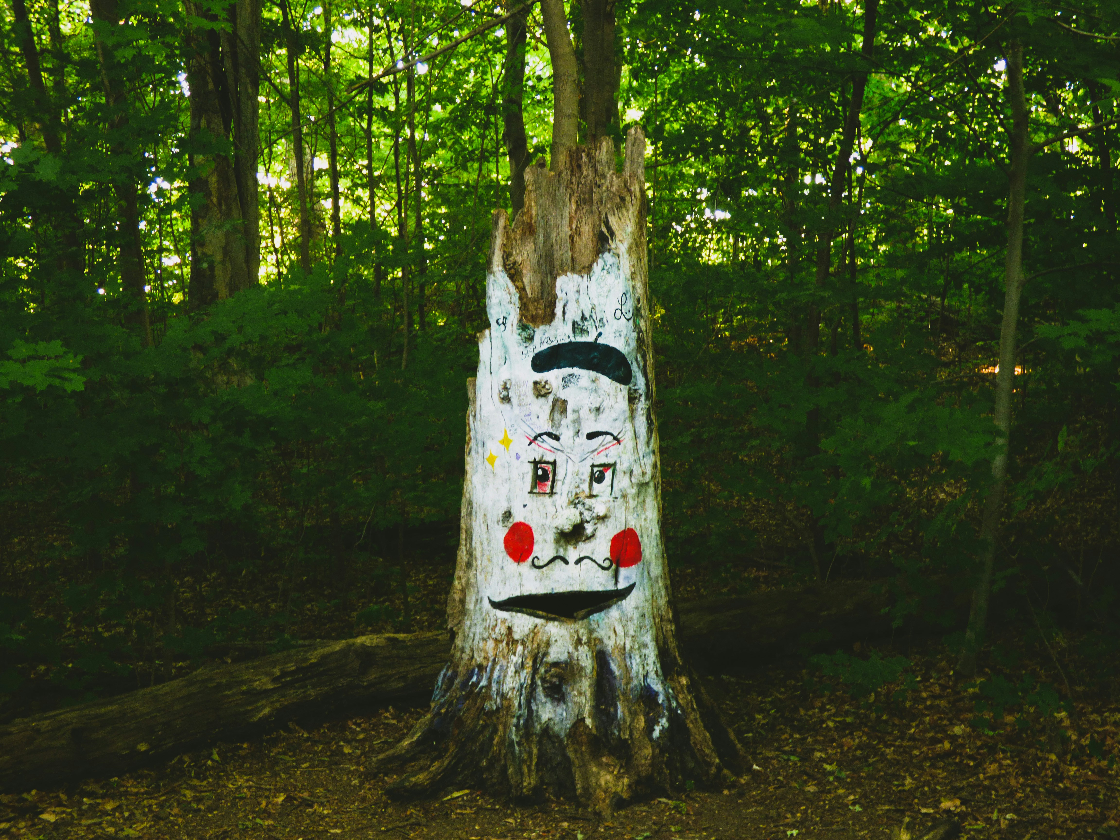 Painted Stump Guardian Beneath a Canopy of Green