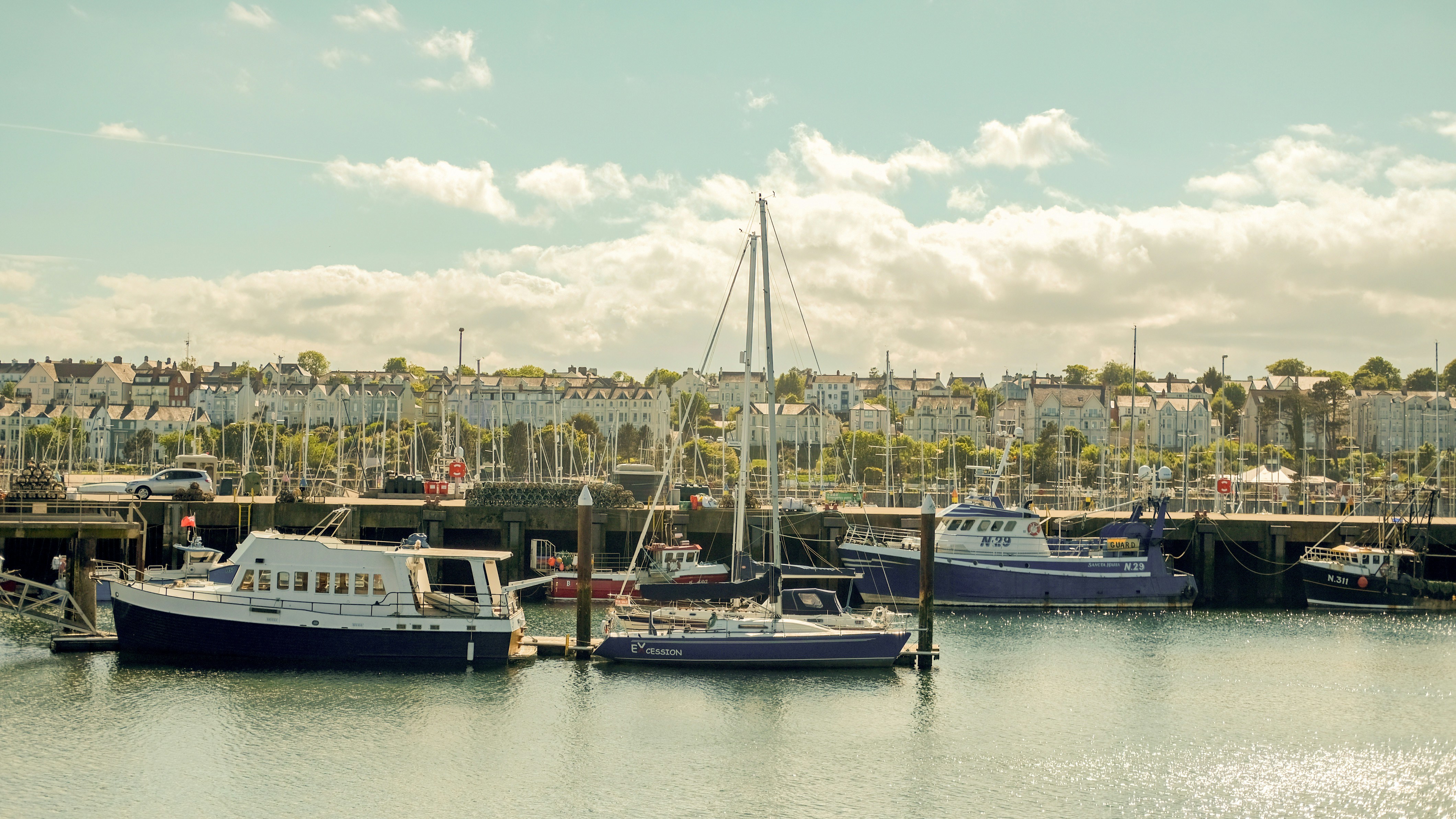 Harbor Reverie: Masts Standing Over a Glassy Marina