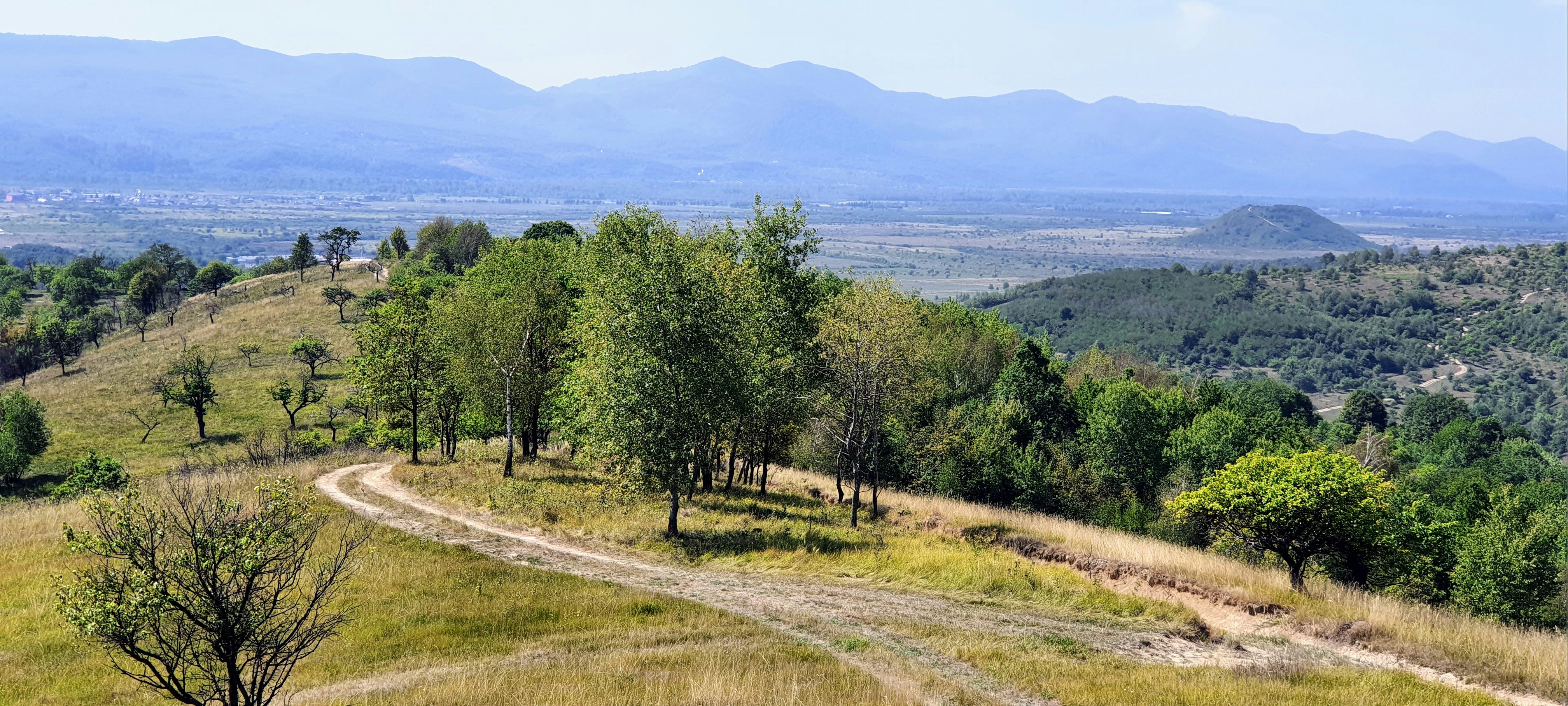 A landscape with trees and hills photo – Free Ukraine Image on Unsplash