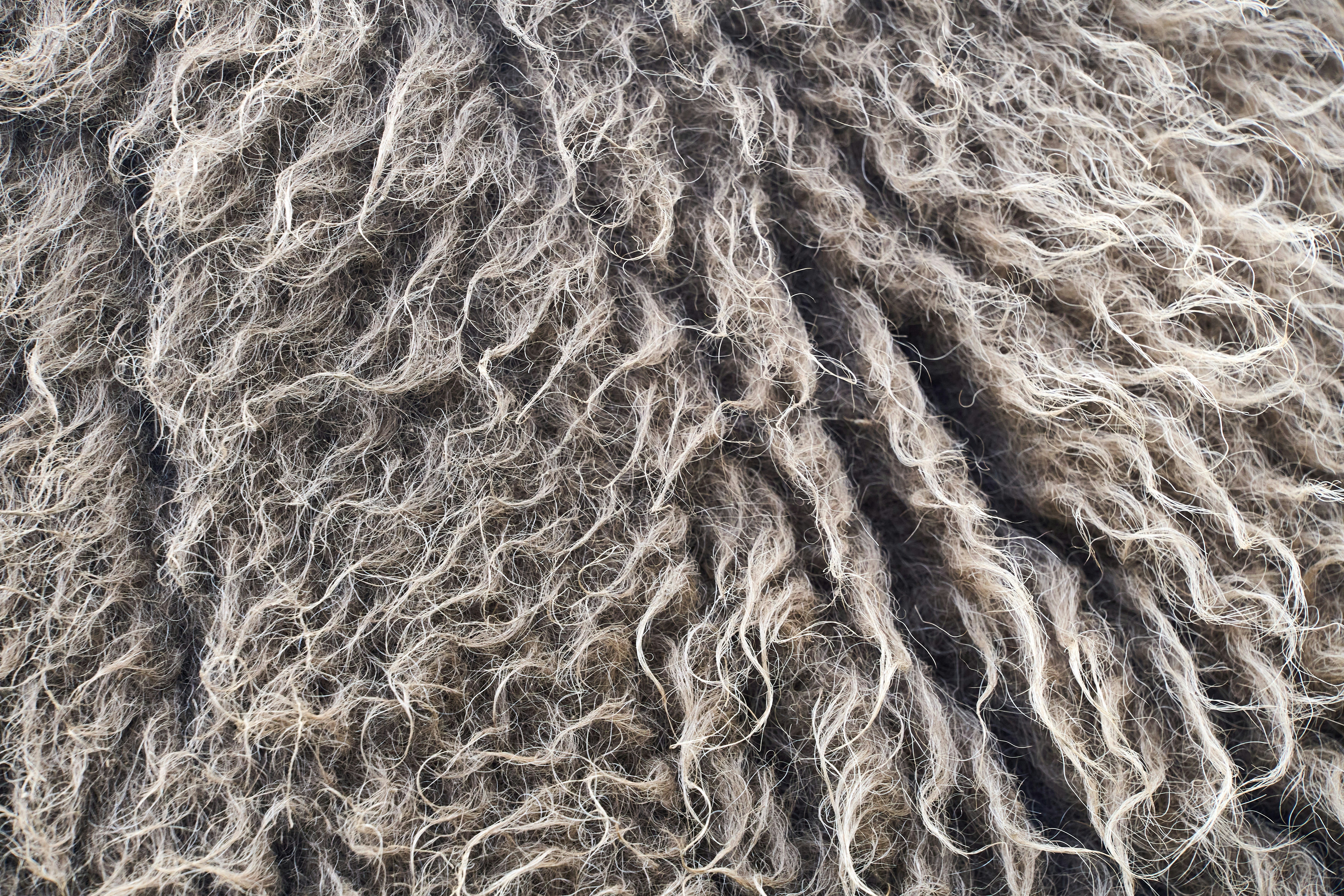 Texture Art | 22 best free art, texture, pattern and background photos ...