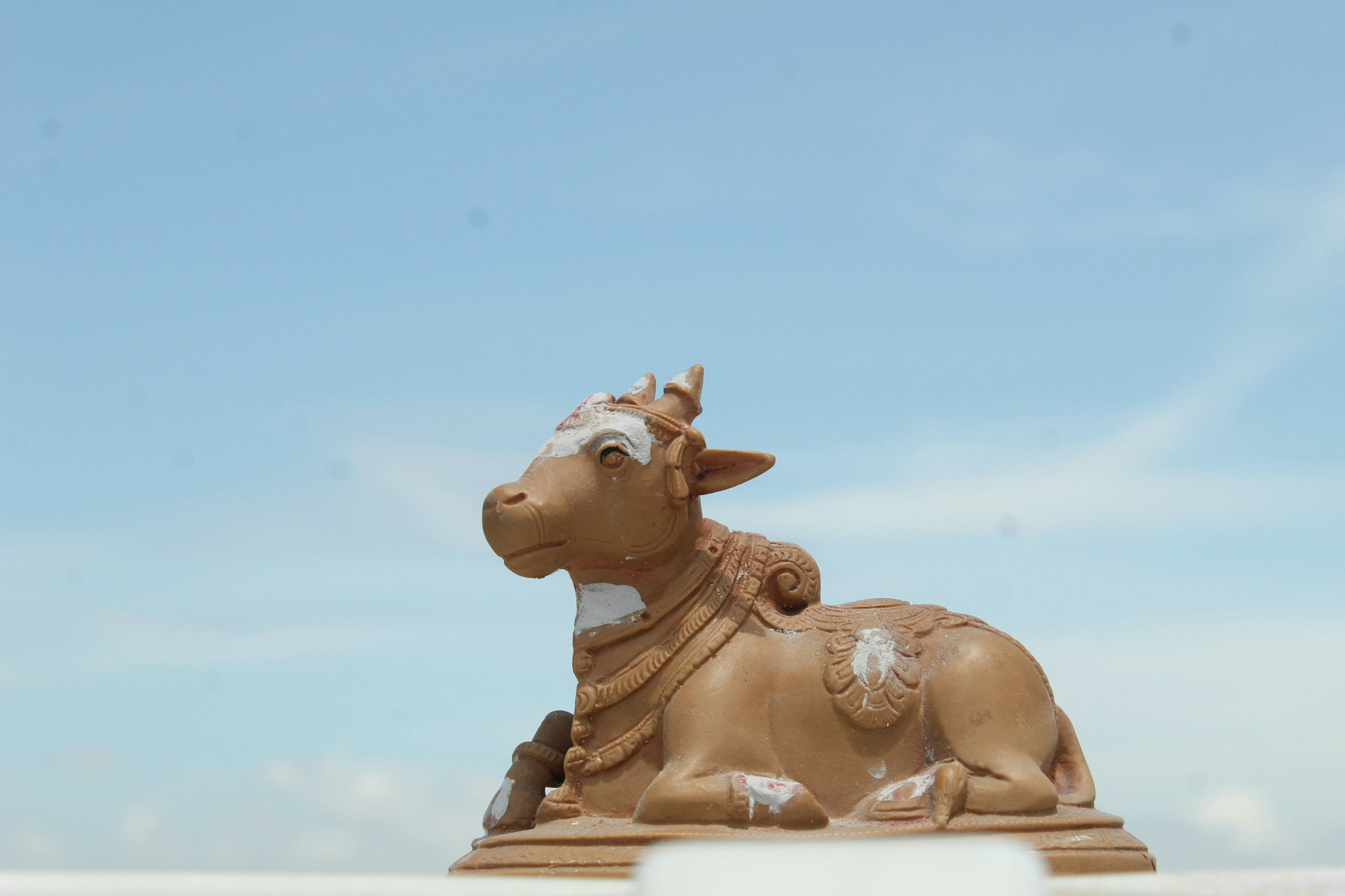 A statue of a cat photo – Free Tamil nadu Image on Unsplash