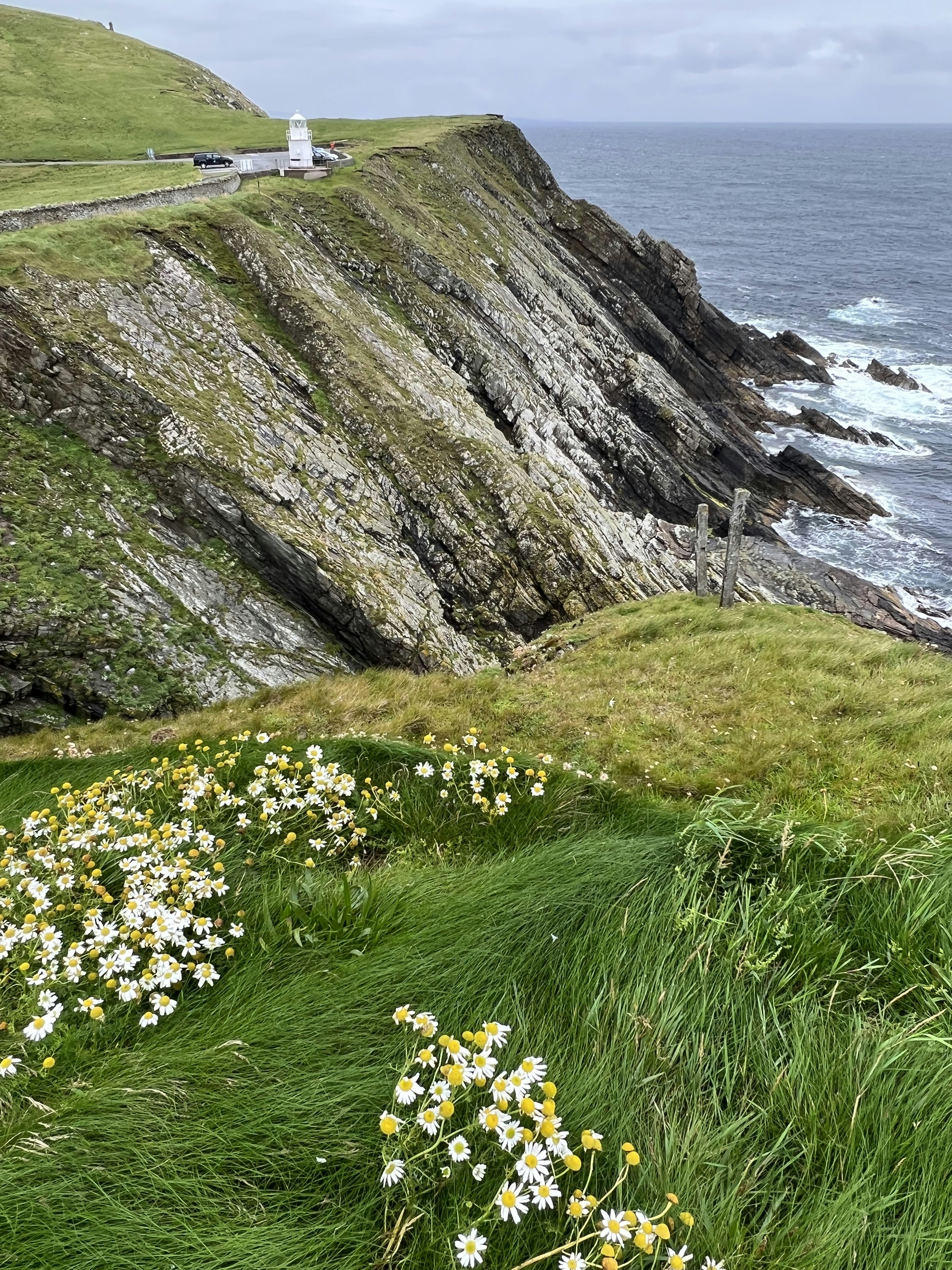 Photo by Pamela Hallam with Apple iPhone 13 Pro Max