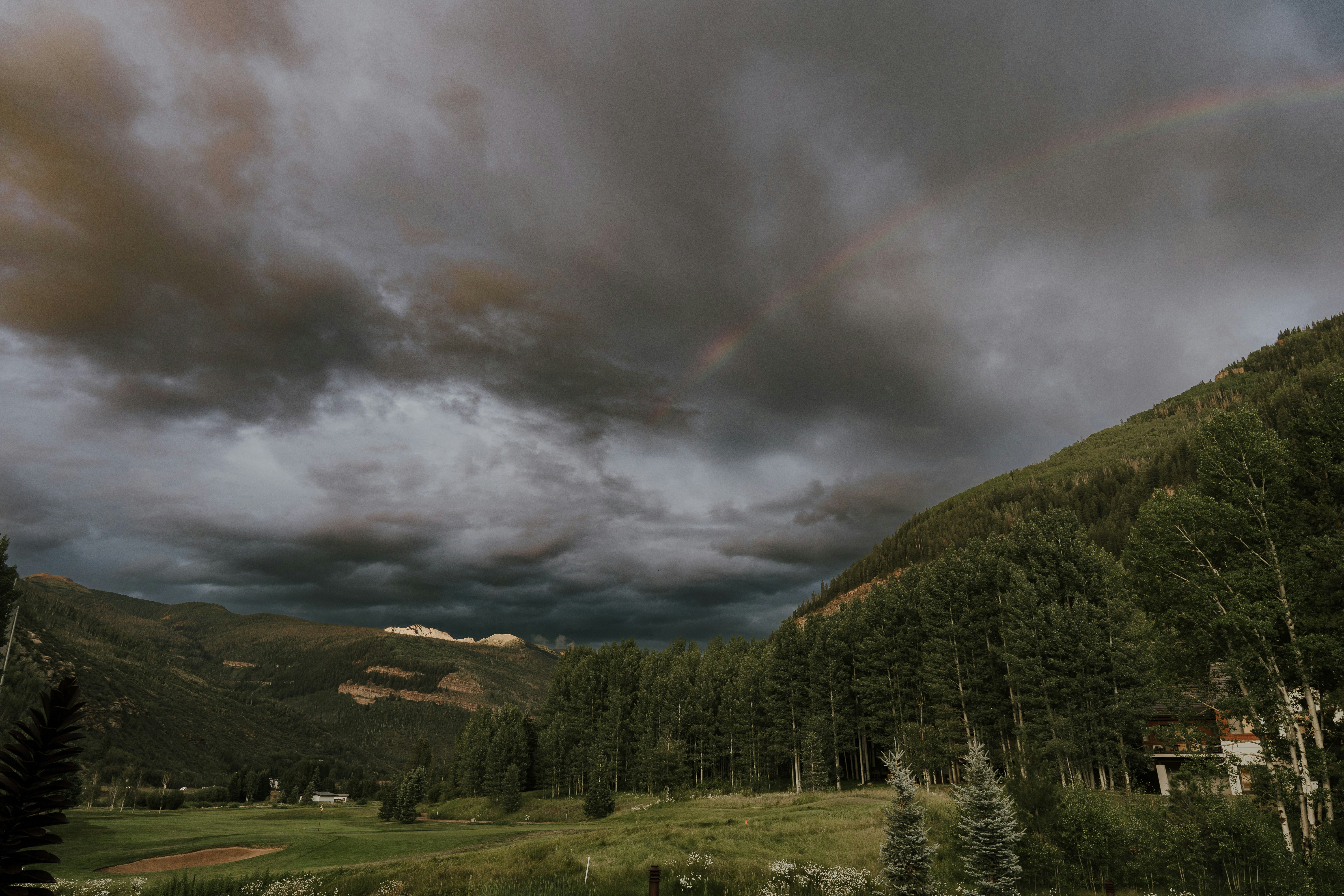 Photo by Andres Molina with Sony Alpha 7 III