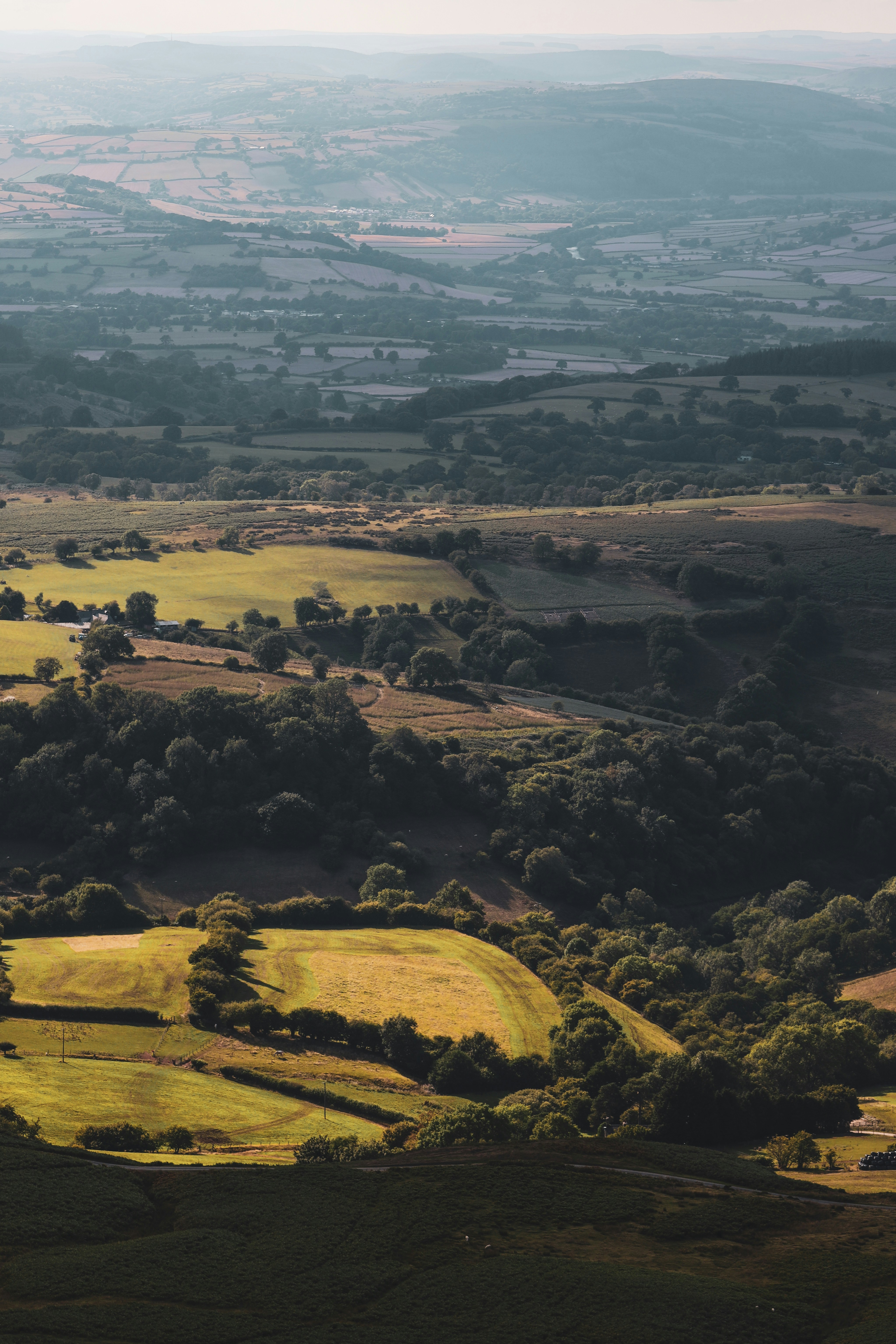 A landscape with fields and trees photo – Free Landscape Image on Unsplash