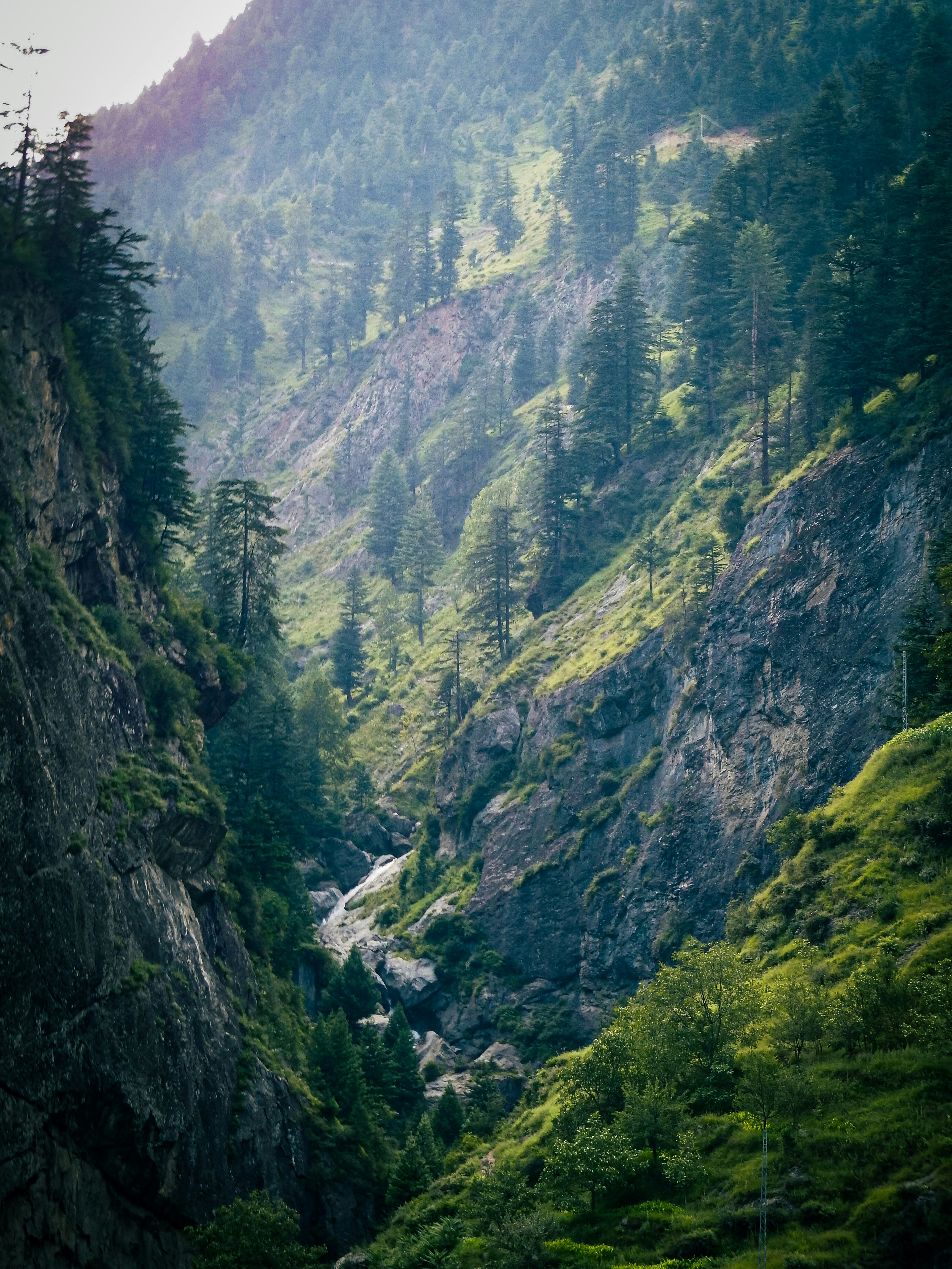 Sample photo from Fujifilm FinePix SL1000