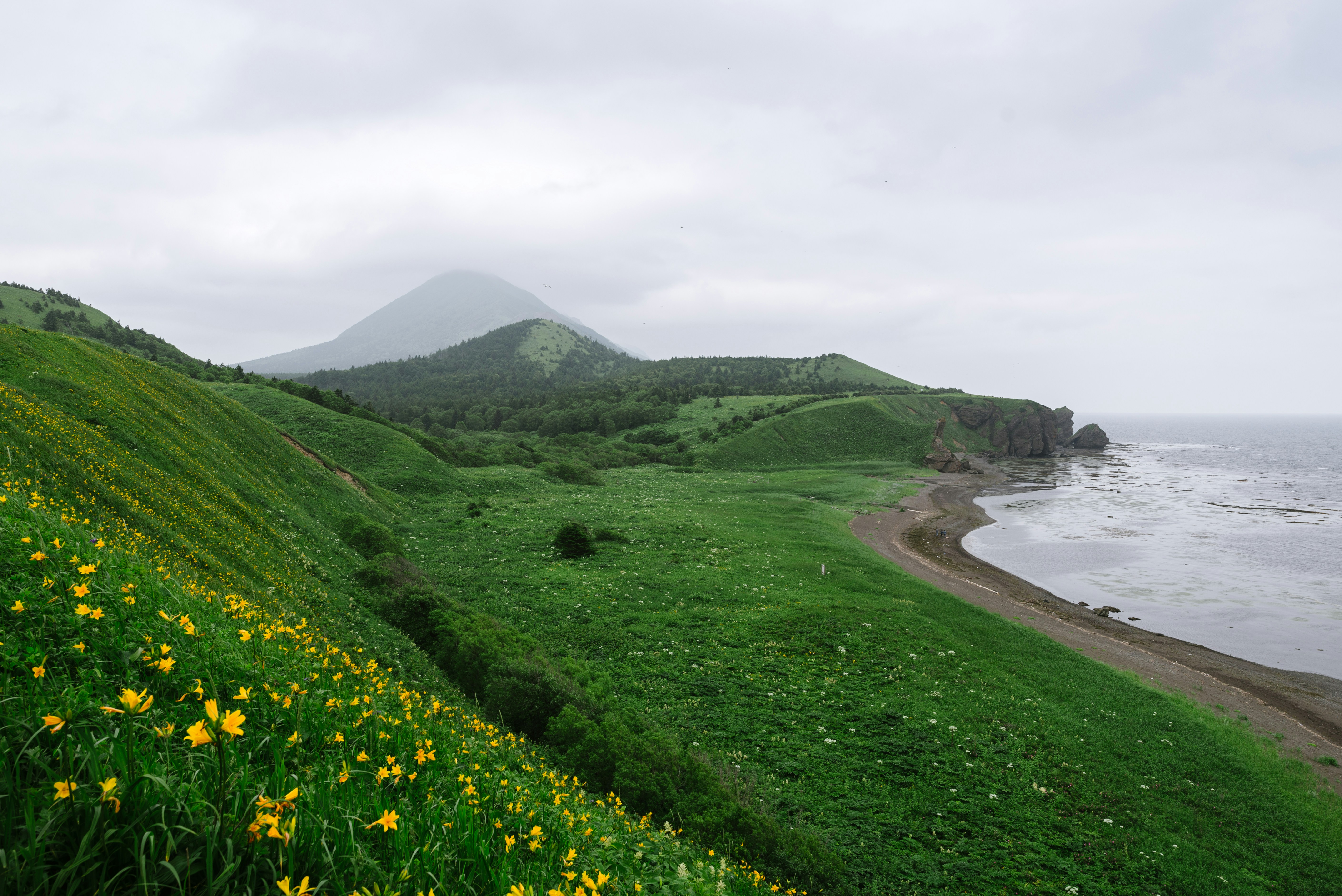 a grassy hill with a body of water and a mountain in the background