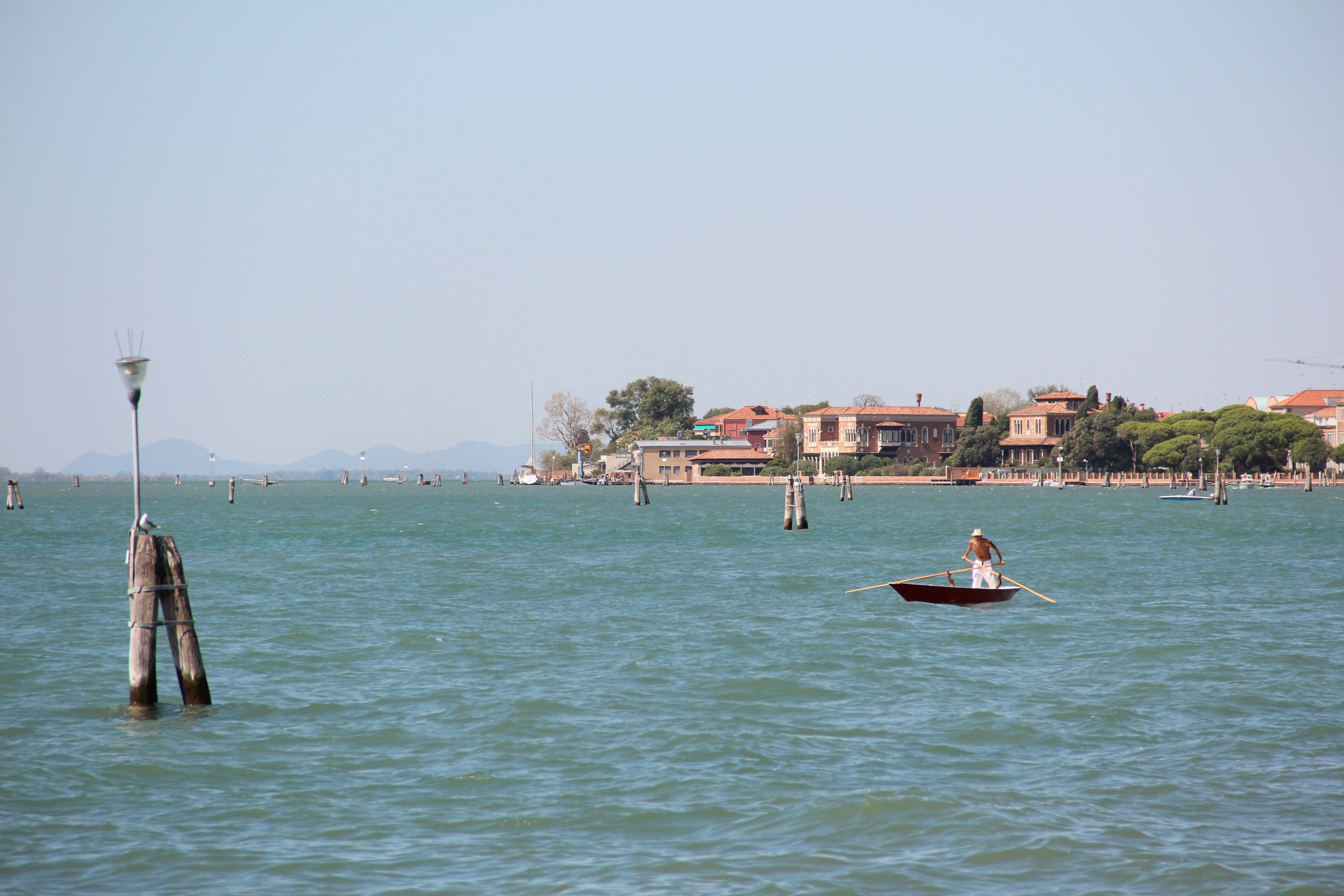 Foto Una persona remando en un bote – Imagen Venecia gratis en Unsplash
