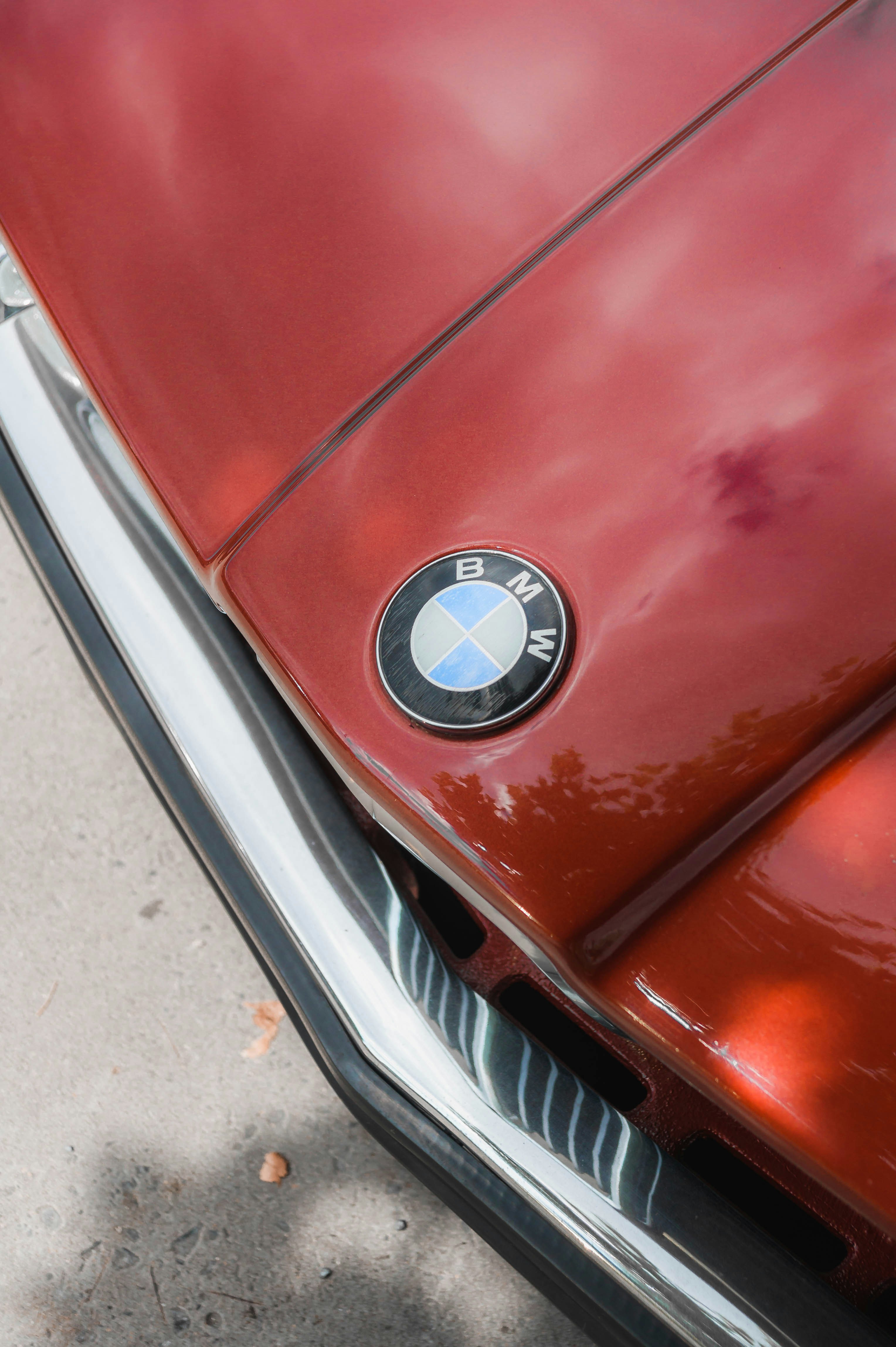 Chromed Emblem and Rust: A BMW-Bathed Hood Curves into Time