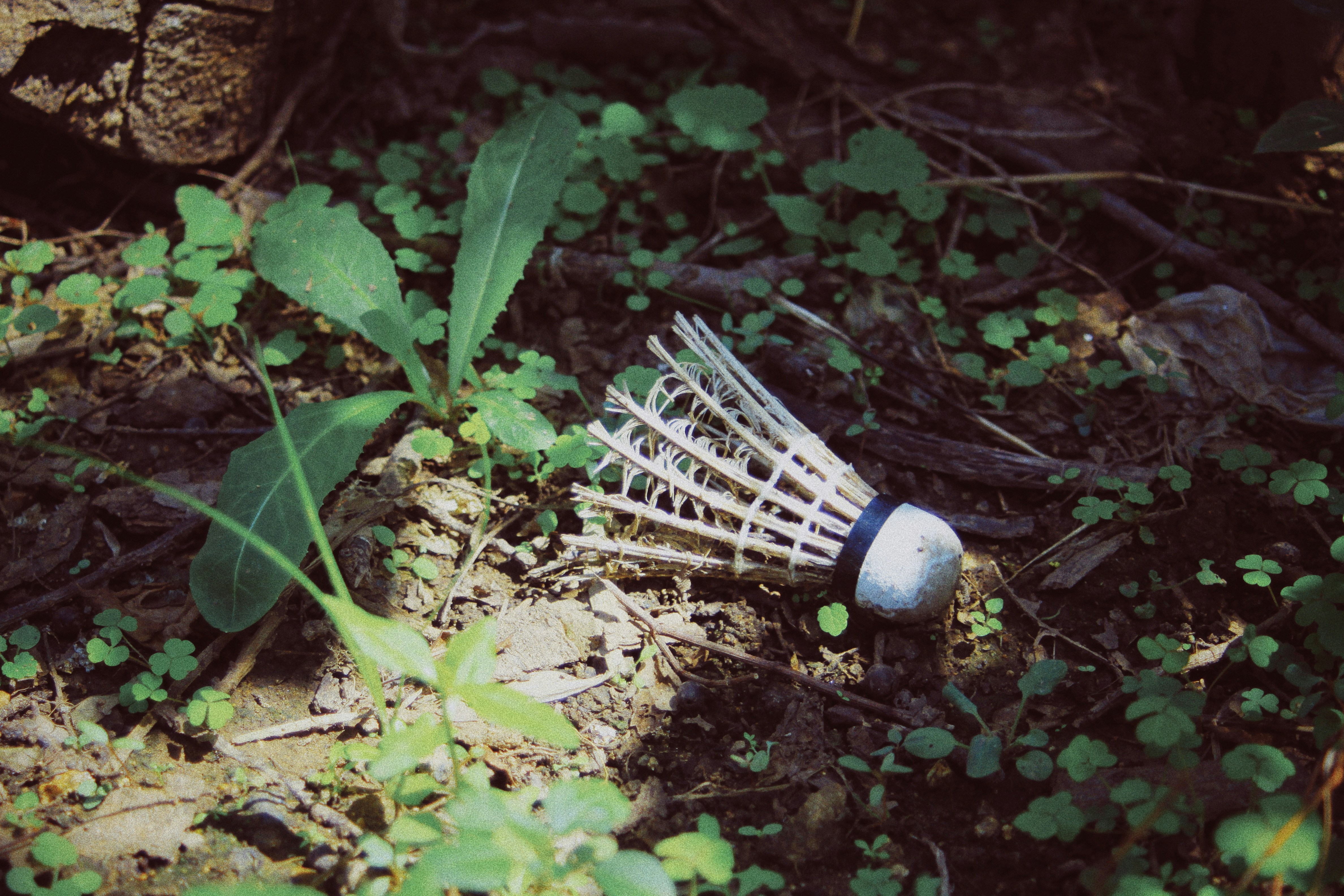 A white and blue object on the ground photo – Free Tai'an Image on Unsplash