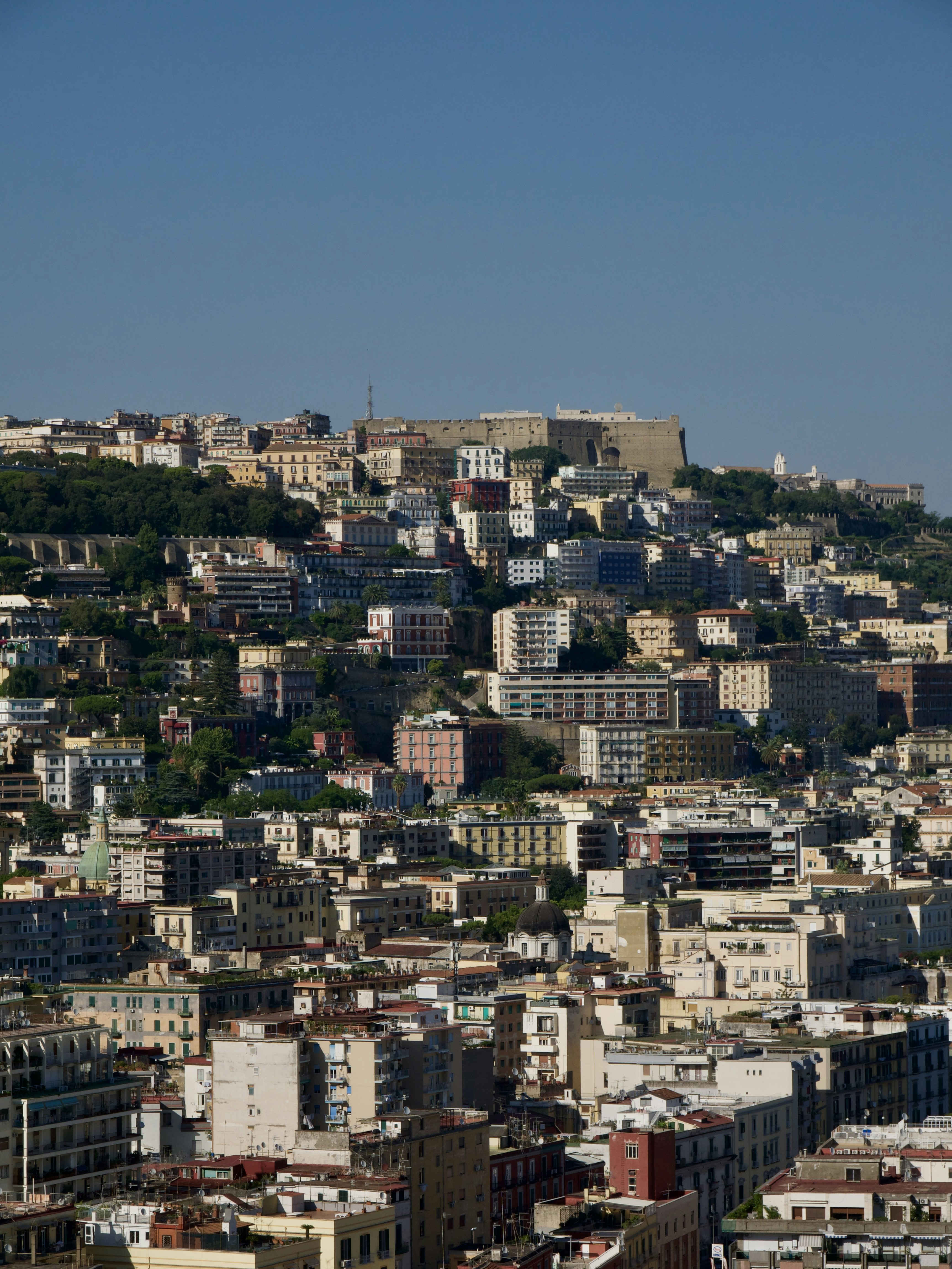 Photo by Nicolas Weldingh with Panasonic Lumix G80