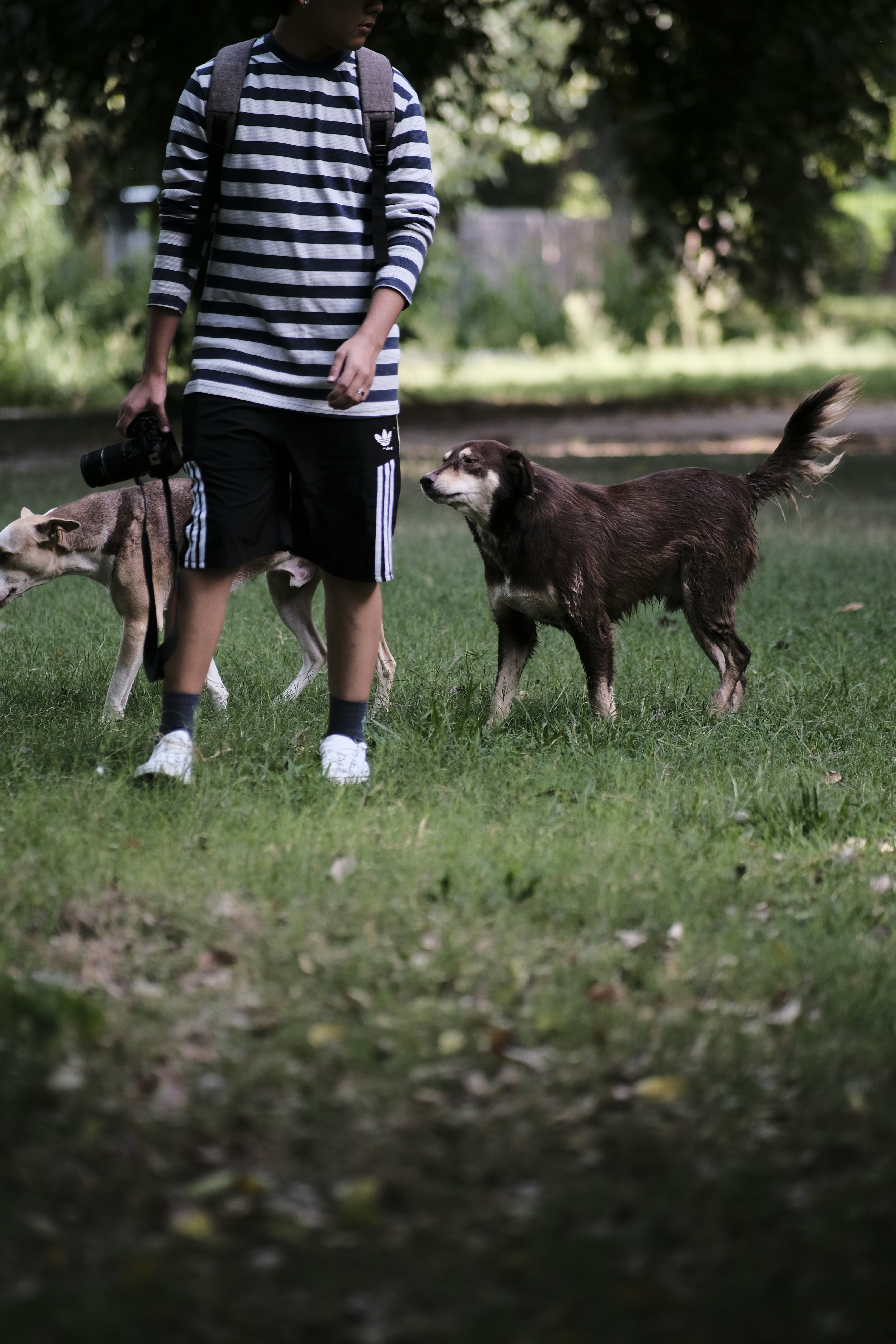 Sunder Nursery, Delhi