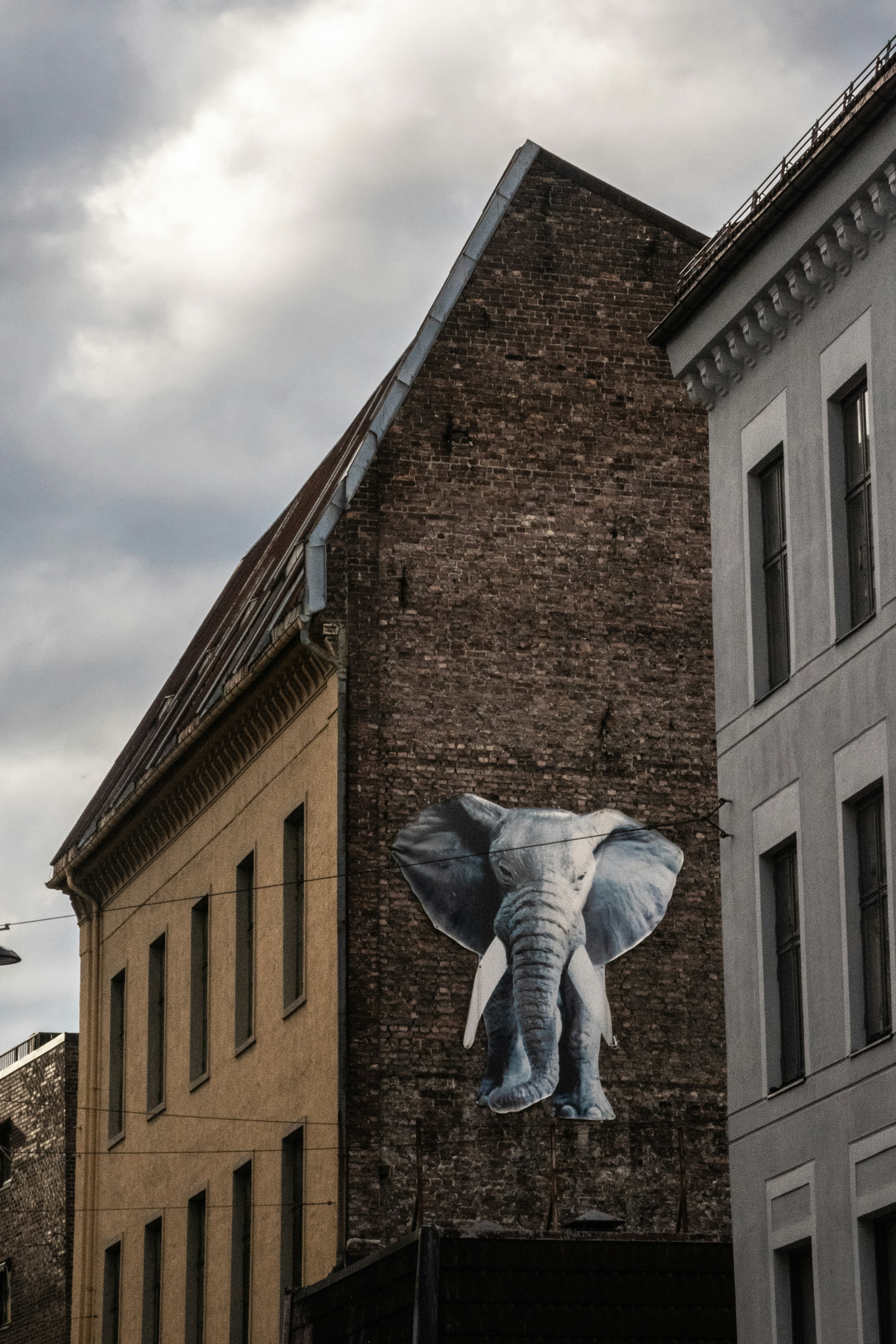 Elephant on Weathered Brick: A City Mural Anchoring the Block