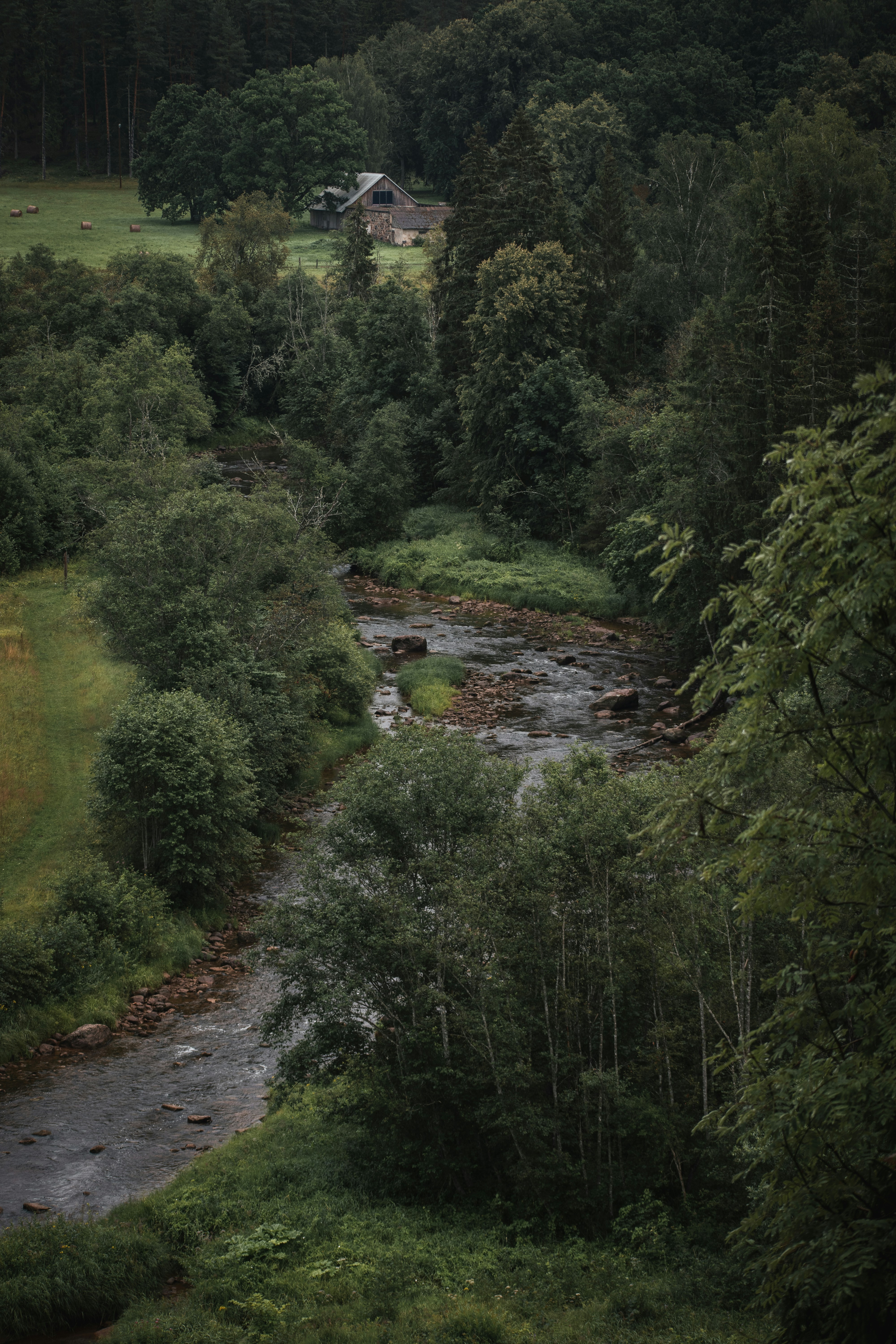 A river running through a forest photo – Free Zvārtes iezis Image on ...