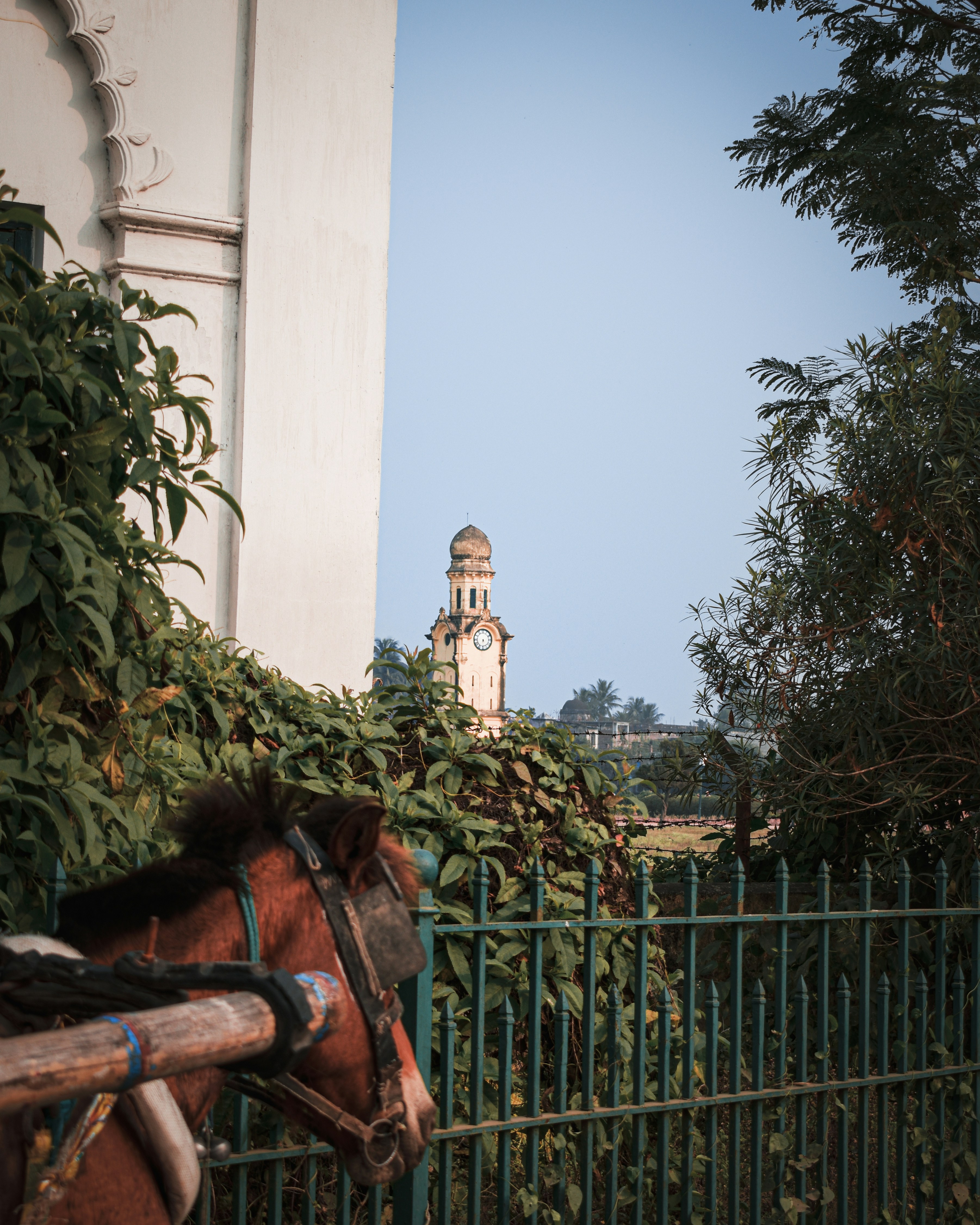 Clocktower Vista Framed by a Horse and Garden Fence