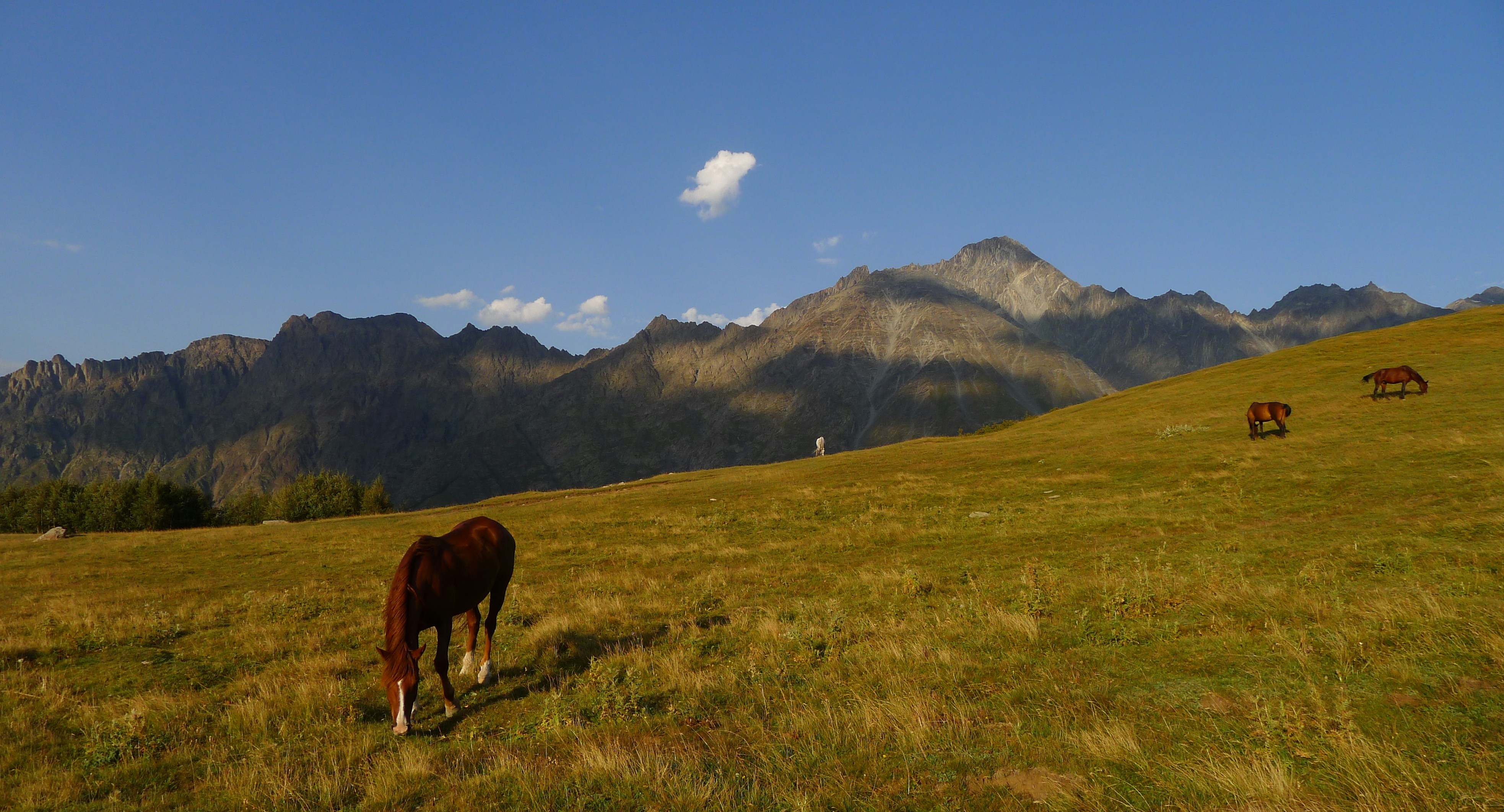 A brown horse grazes peacefully on a grassy hillside, framed by towering mountains under a clear blue sky.